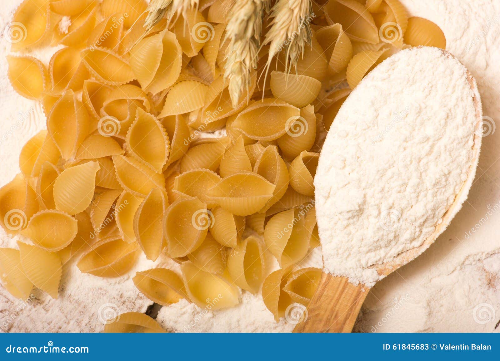 Shells pasta stock image. Image of food, italian, eggs - 61845683