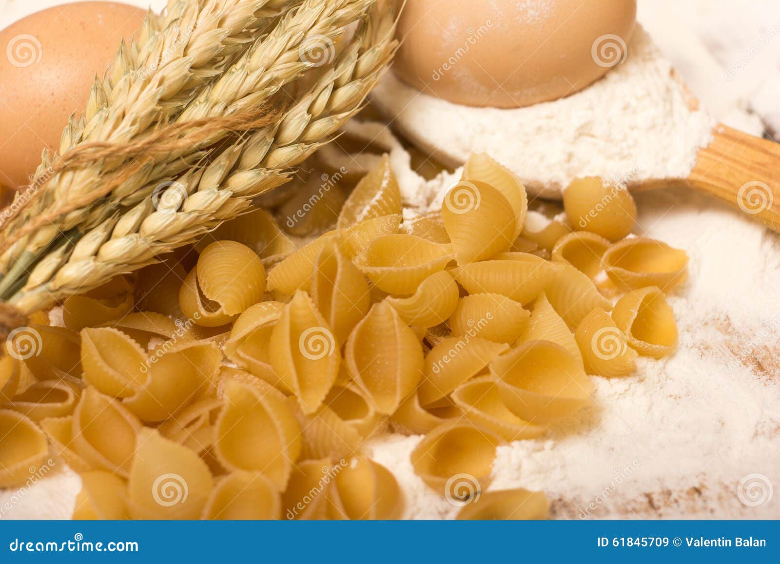 Shells pasta stock image. Image of carbohydrates, macro - 61845709