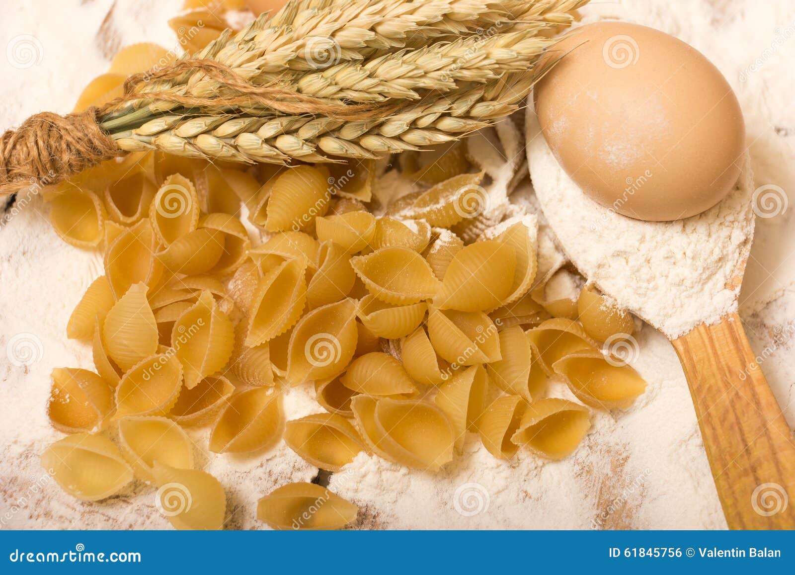 Shells pasta stock photo. Image of background, macro - 61845756