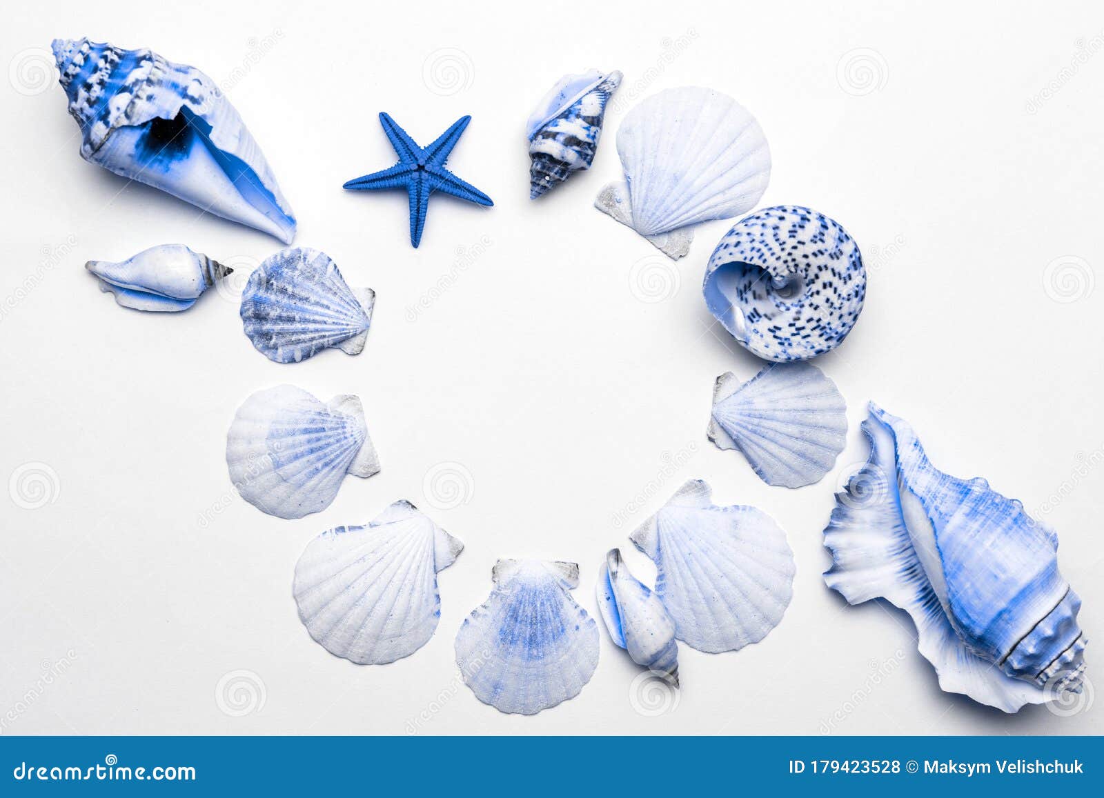 6,646 Water Color Sea Shells Stock Photos - Free & Royalty-Free Stock ...