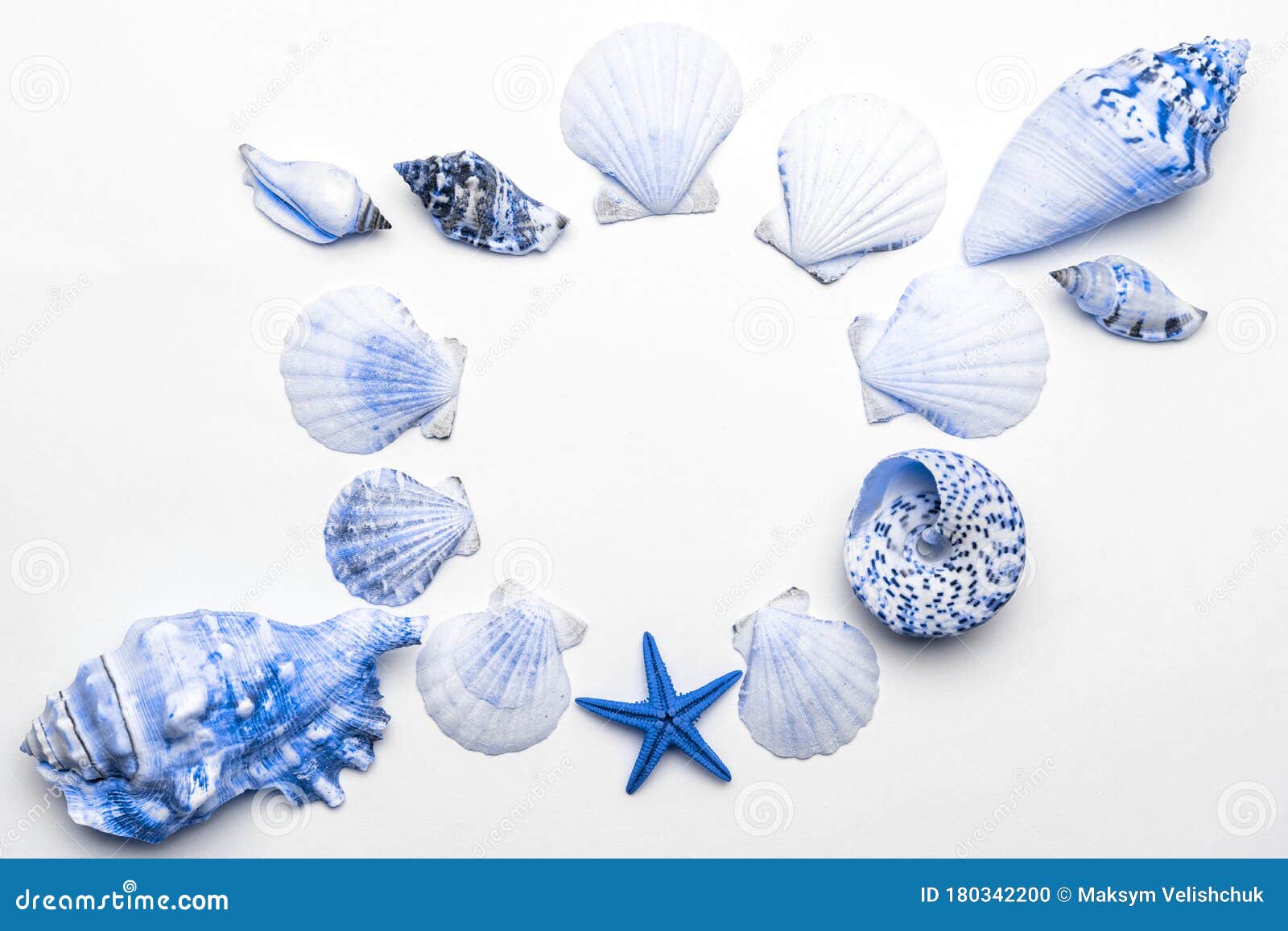 Shells Pattern. Trendy Aquamarine Light Blue Pastel Color Sea Shell ...