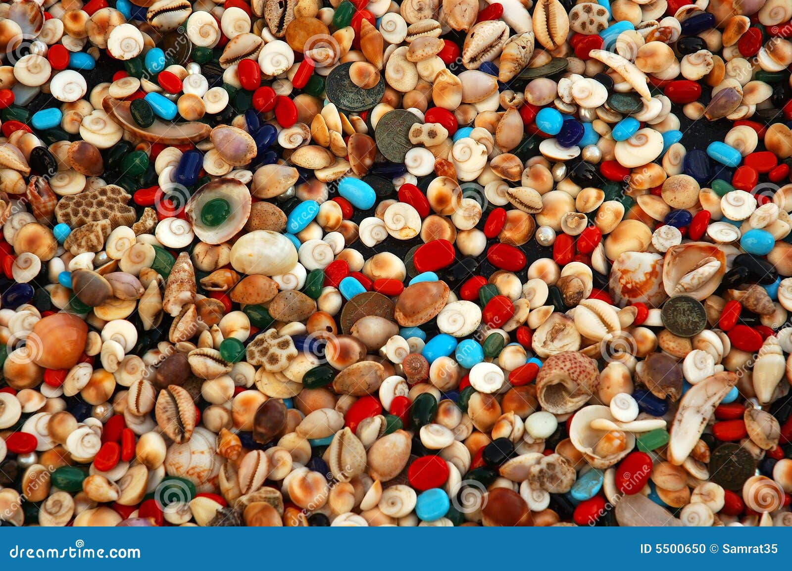 Shells & pearls stock photo. Image of form, view, colour - 5500650
