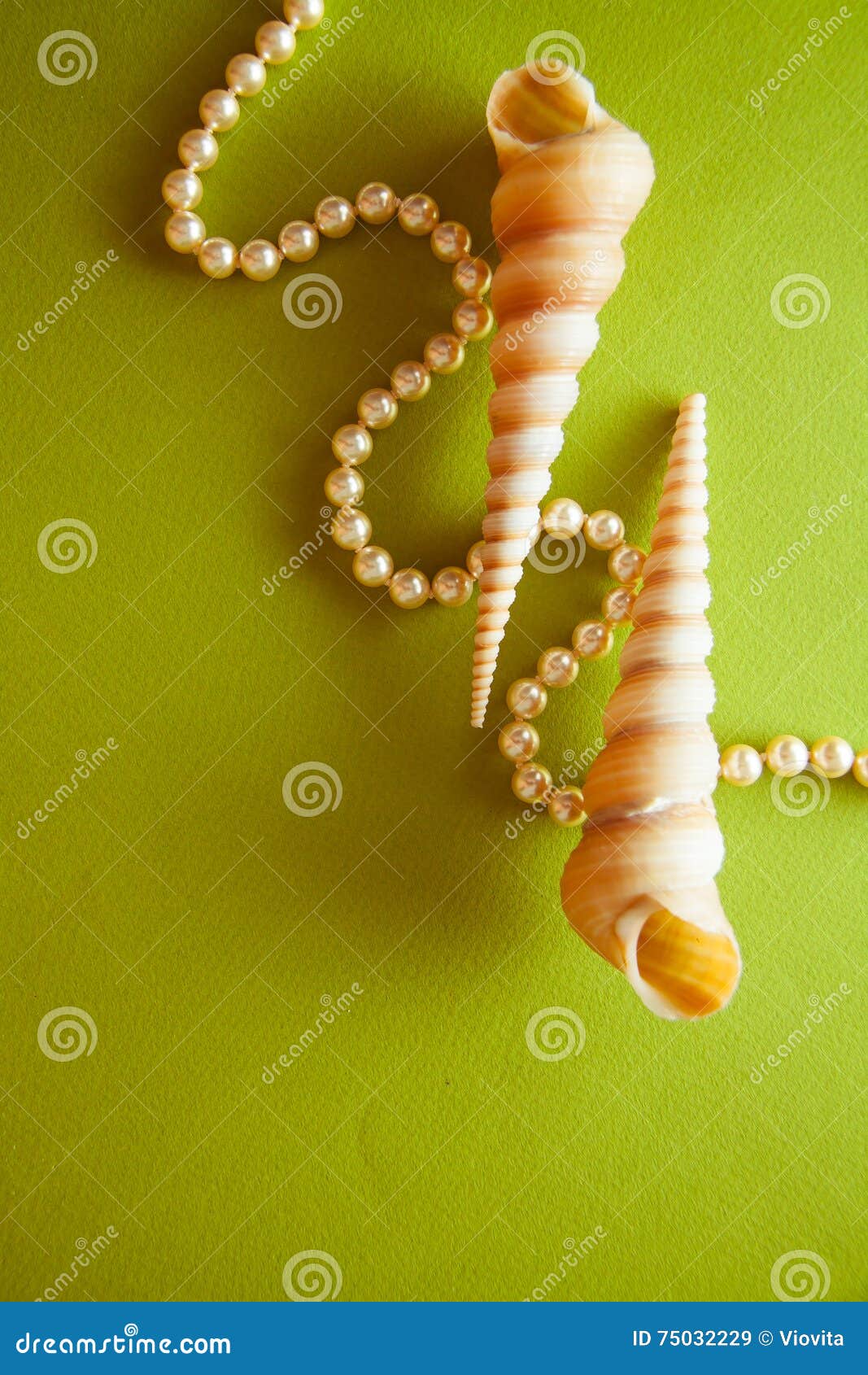 Shells & Pearls on Green Background Stock Image - Image of beach ...