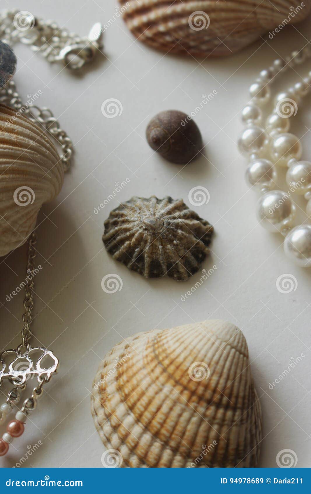 Shells and Pearls on White Background Stock Image - Image of marine ...