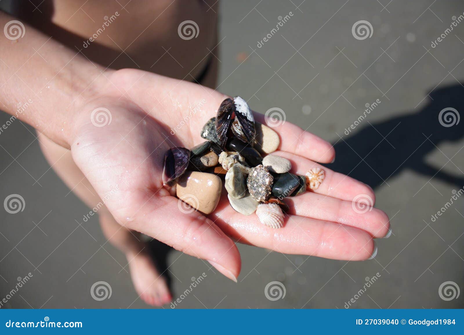 Shells and pebbles stock photo. Image of body, skin, stones - 27039040