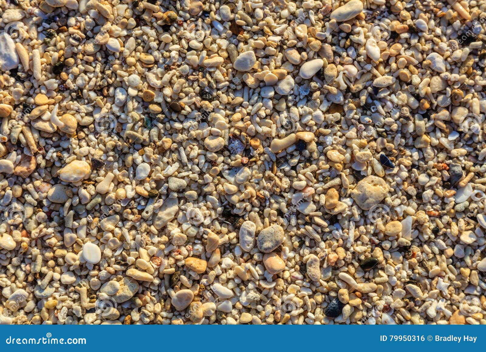 Shells and Pebbles on a Beach, Boracay Island, Philippines Stock Photo ...