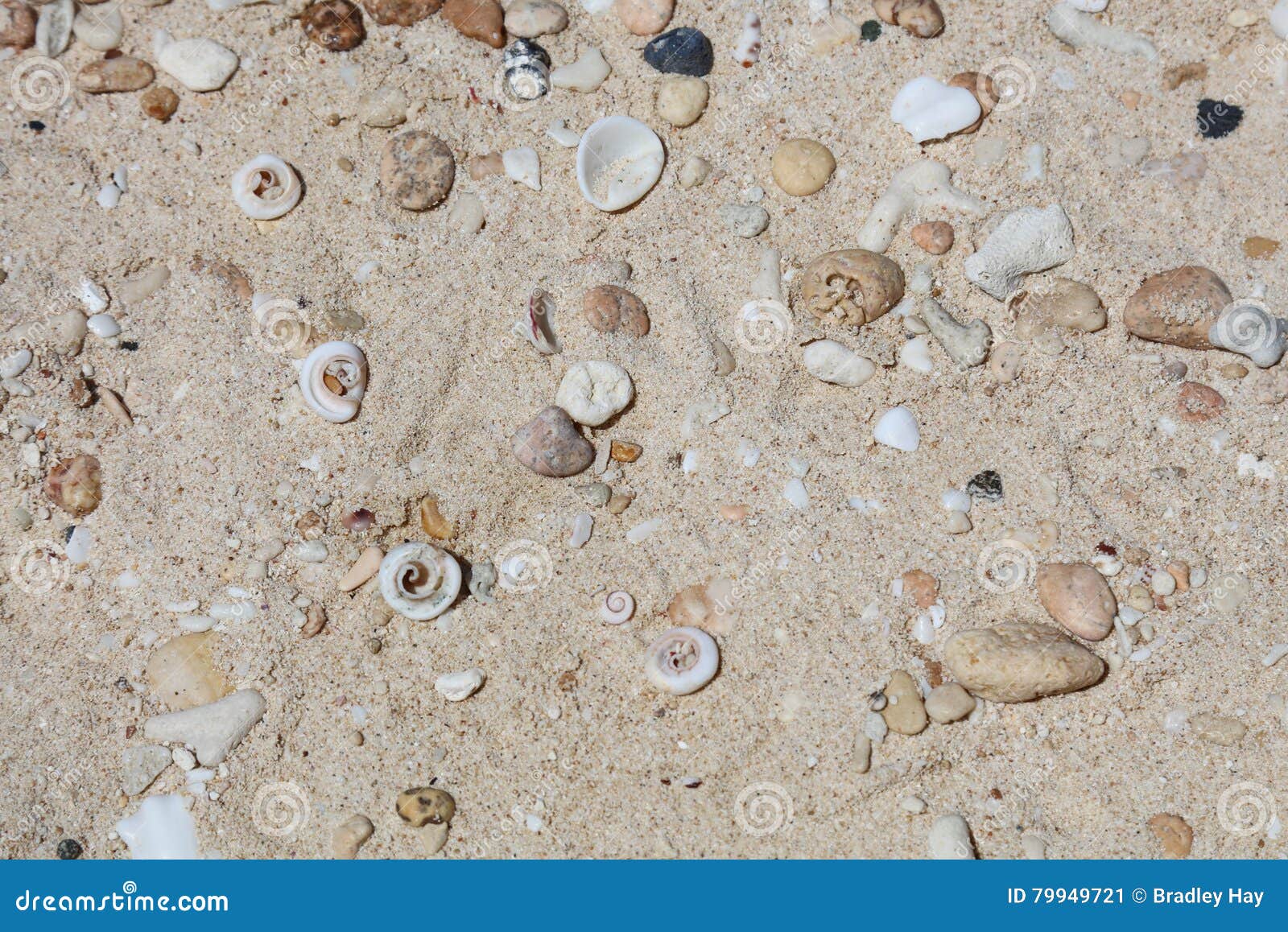 Shells and Pebbles on a Beach, Boracay Island, Philippines Stock Image ...