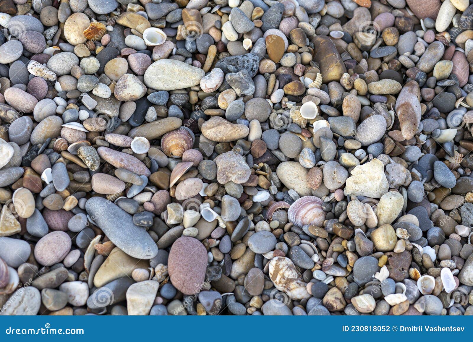 Shells Pebbles and Stones on the Beach Stock Photo - Image of regatta ...