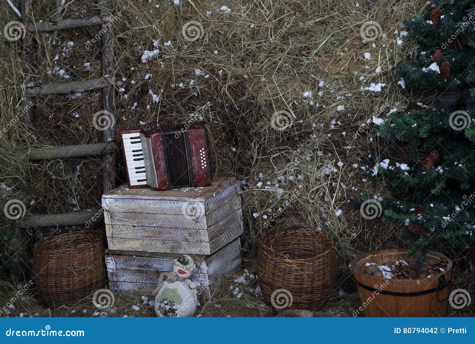 The Shells with Pine Cones and Nuts Under Snow-covered Firs Stock Photo ...