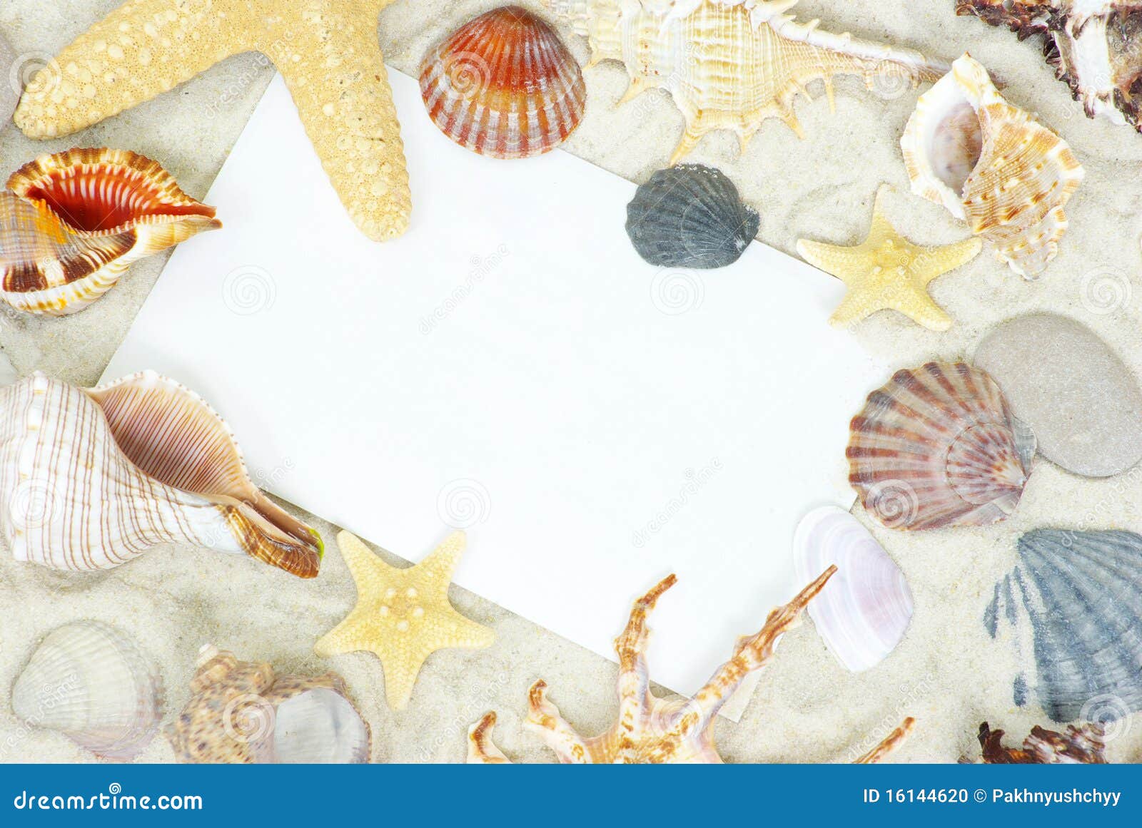 Shells on postcard stock photo. Image of blank, summer - 16144620