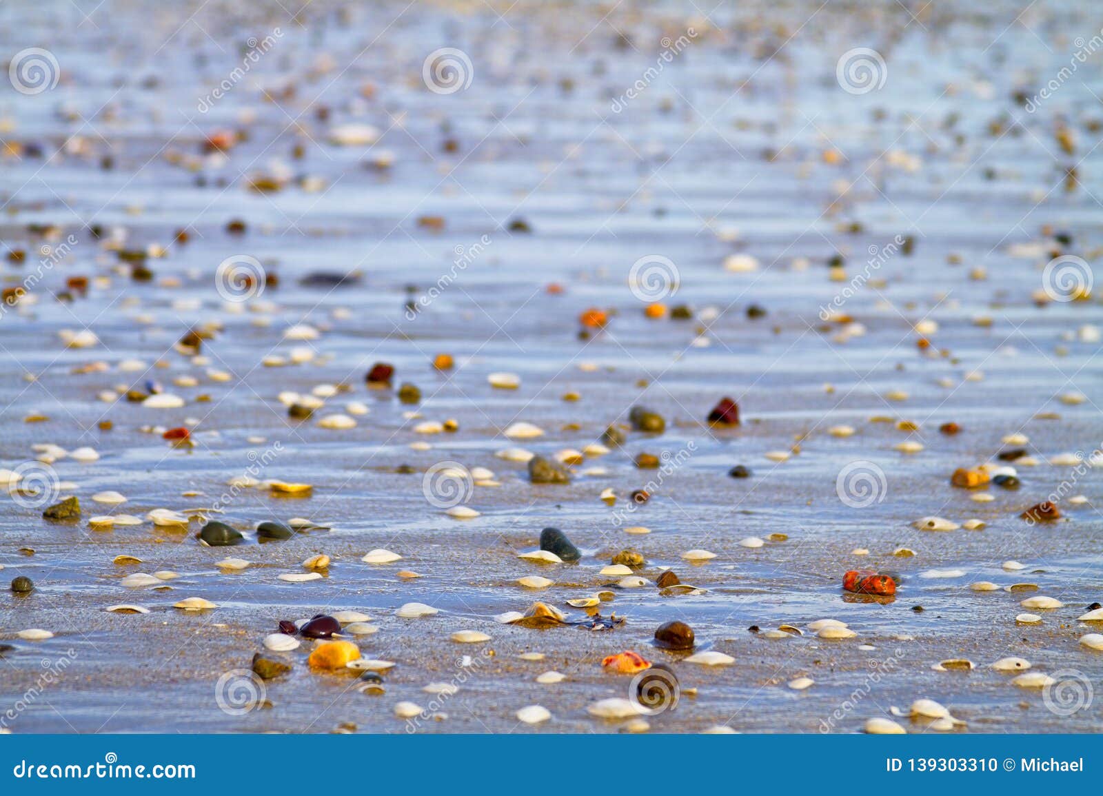Shells and Rocks by the Sandy Beach Stock Photo - Image of texture ...
