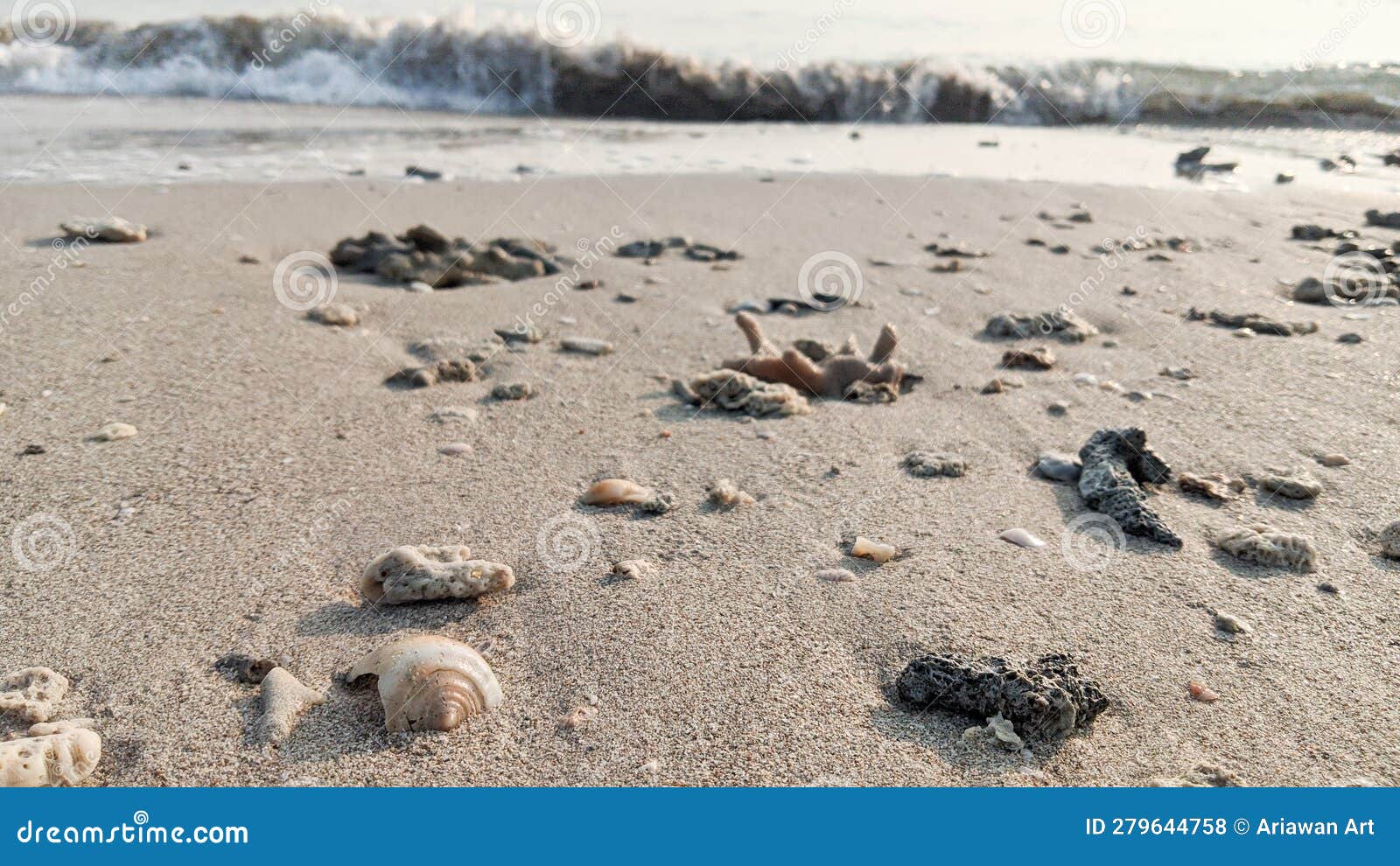 Shells, Rocks on the Beach Sand with Waves in the Background. Stock ...