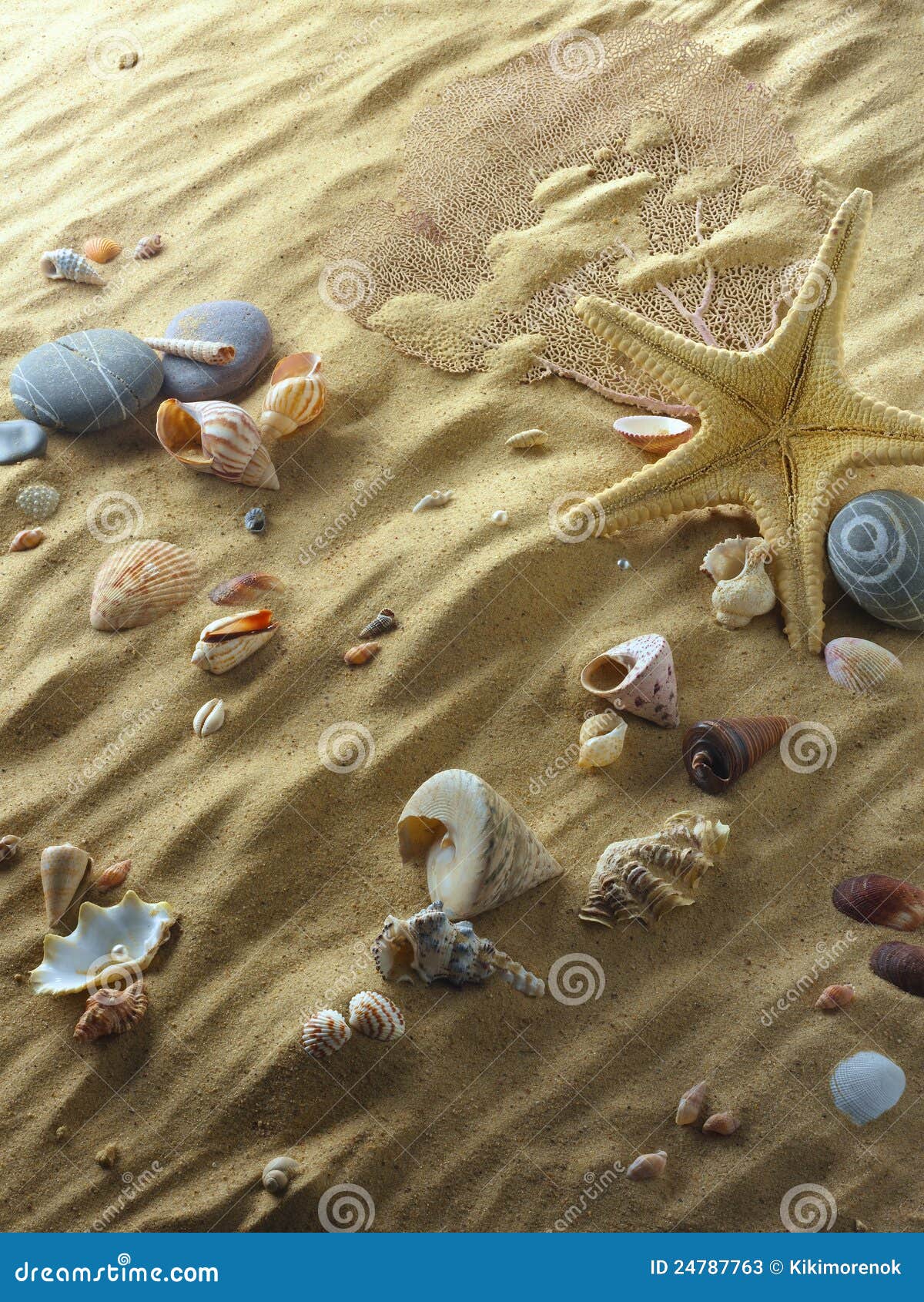 Sea Shells And Sand Wallpaper. Summer Border Top View On Beige With ...