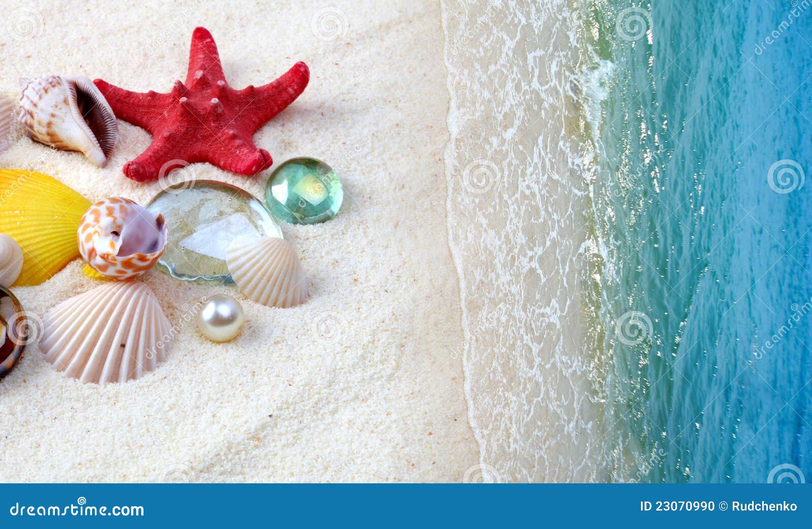 Shells on sand beach stock photo. Image of sand, romantic - 23070990