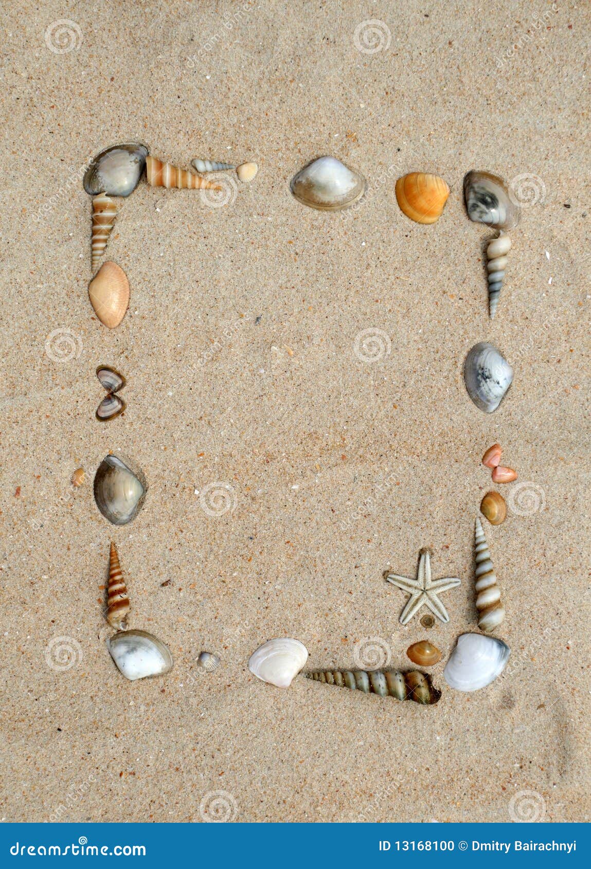 Shells on sand frame stock photo. Image of outdoors, shell - 13168100