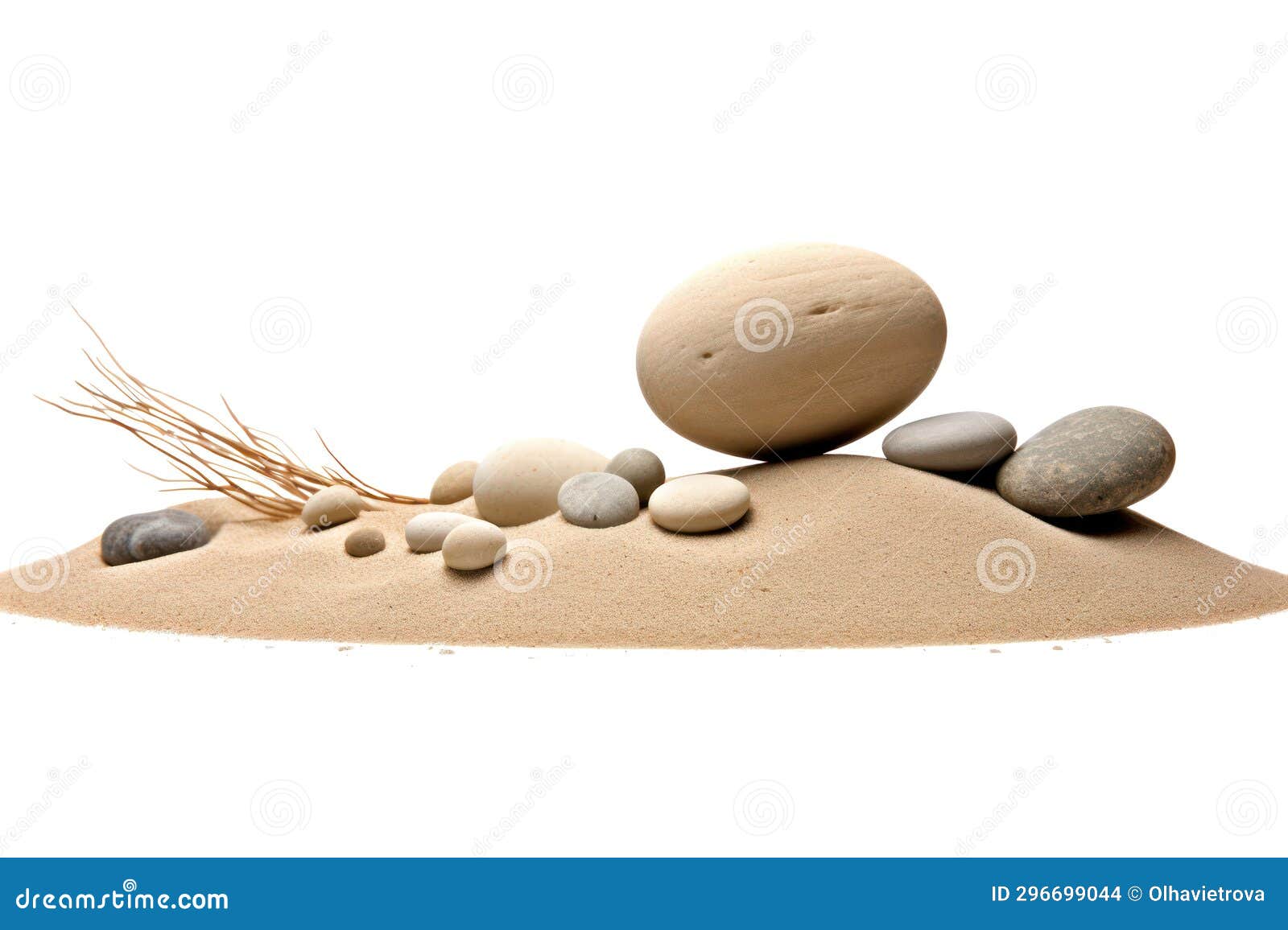 Shells on Sand Isolated on Transparent Background, Png File Stock ...