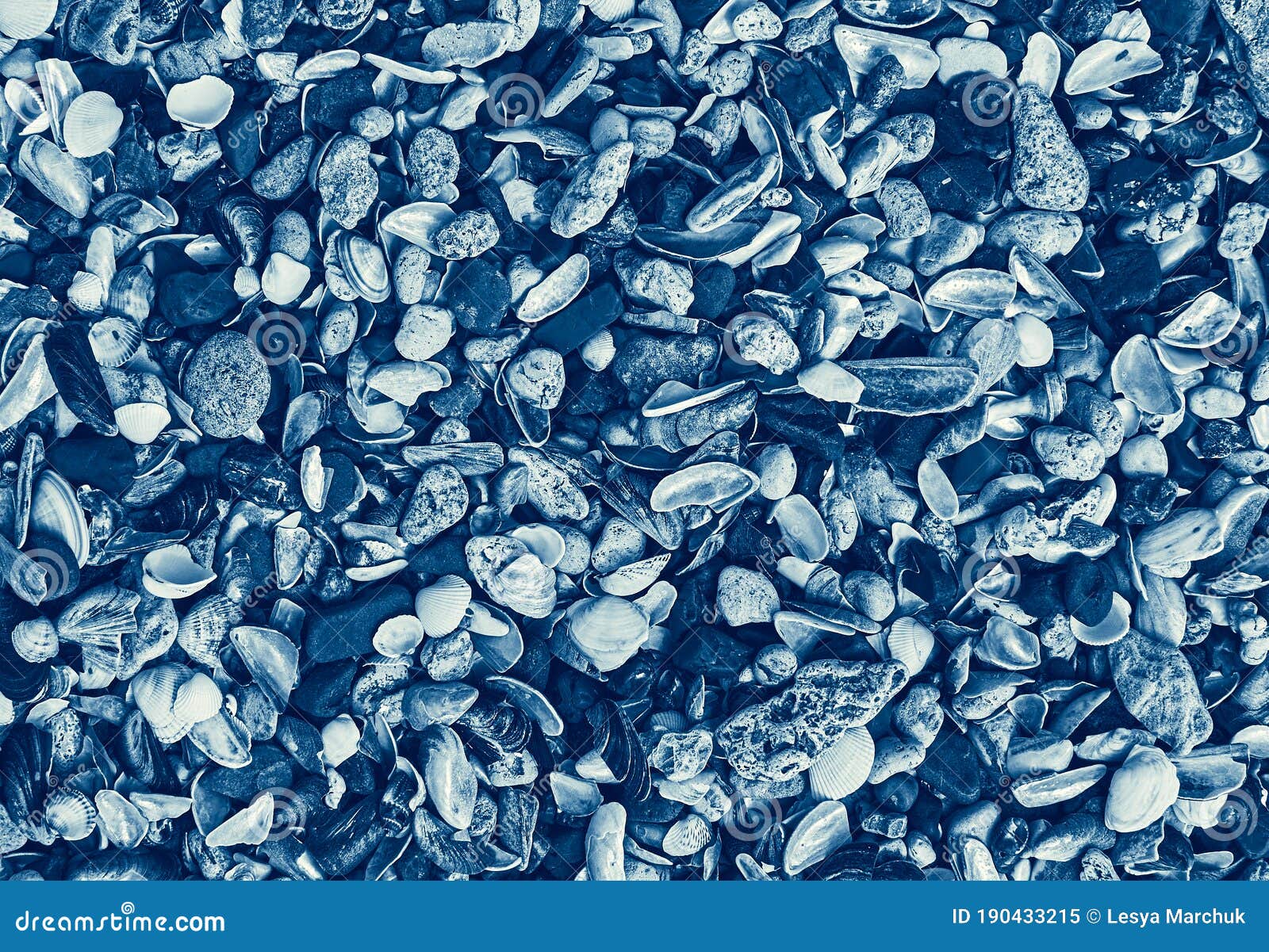 Shells and sea pebbles stock image. Image of shapes - 190433215