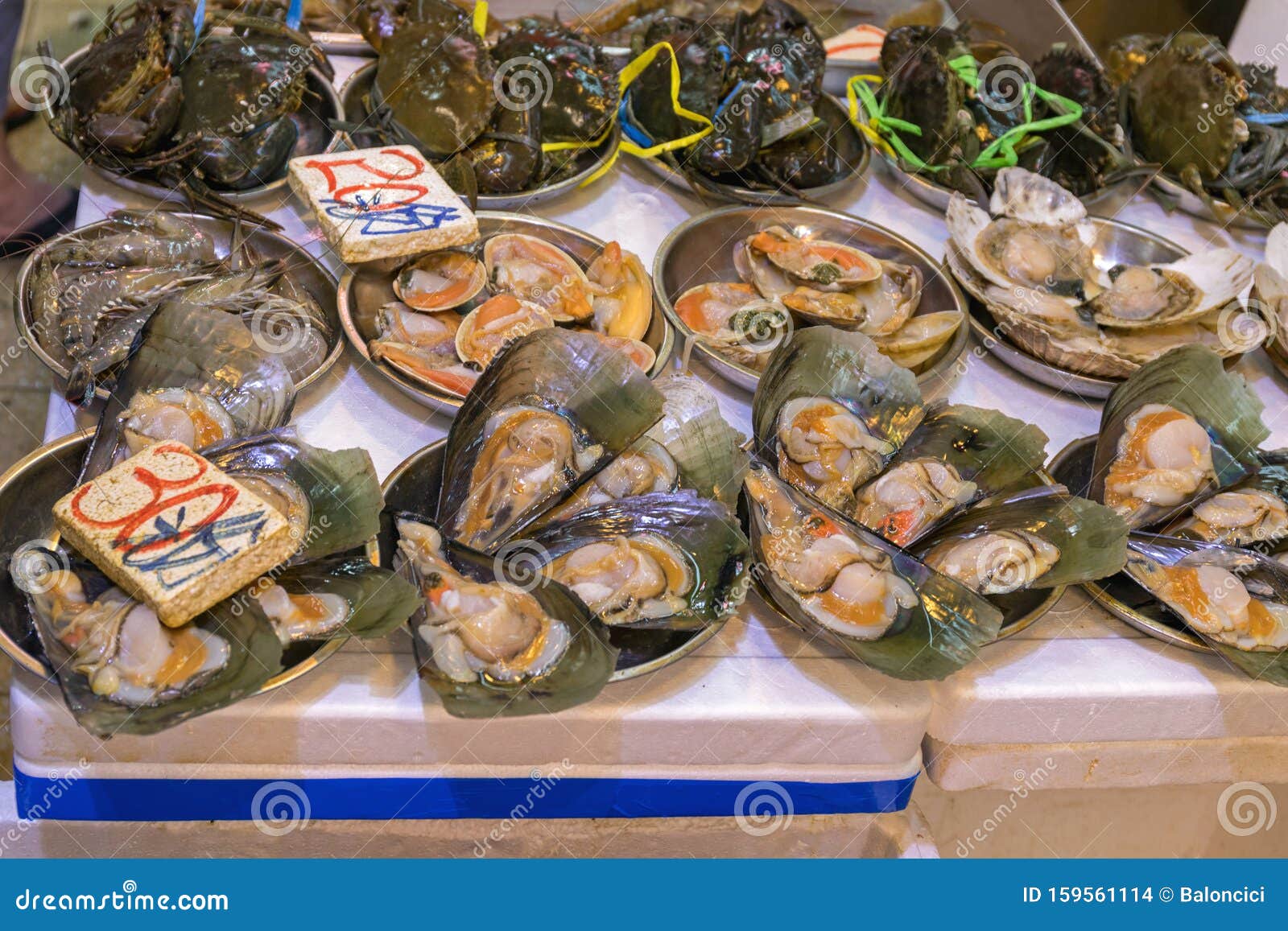 Shells Seafood stock photo. Image of bivalve, market - 159561114