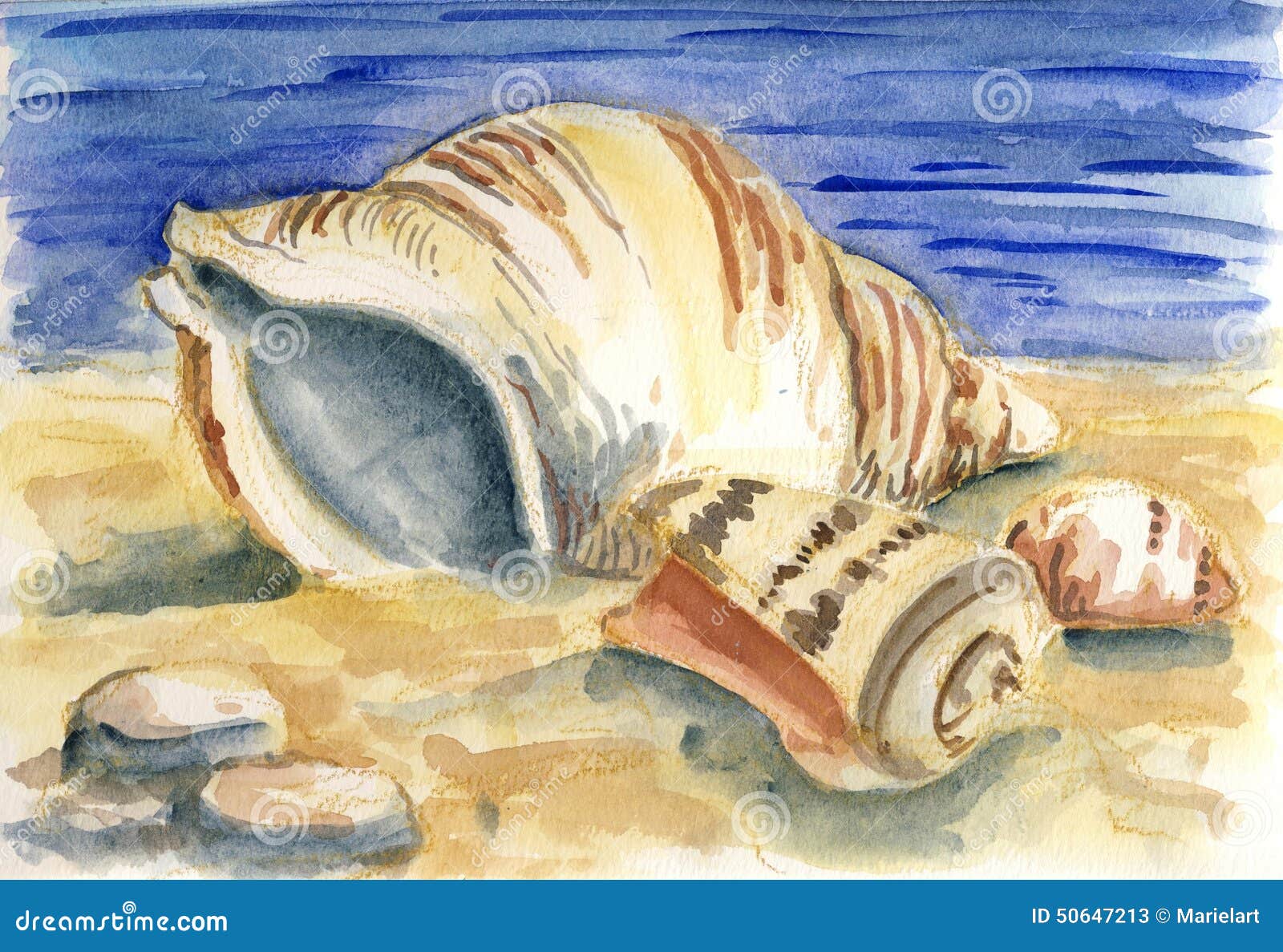 Shells stock illustration. Illustration of sand, painting - 50647213