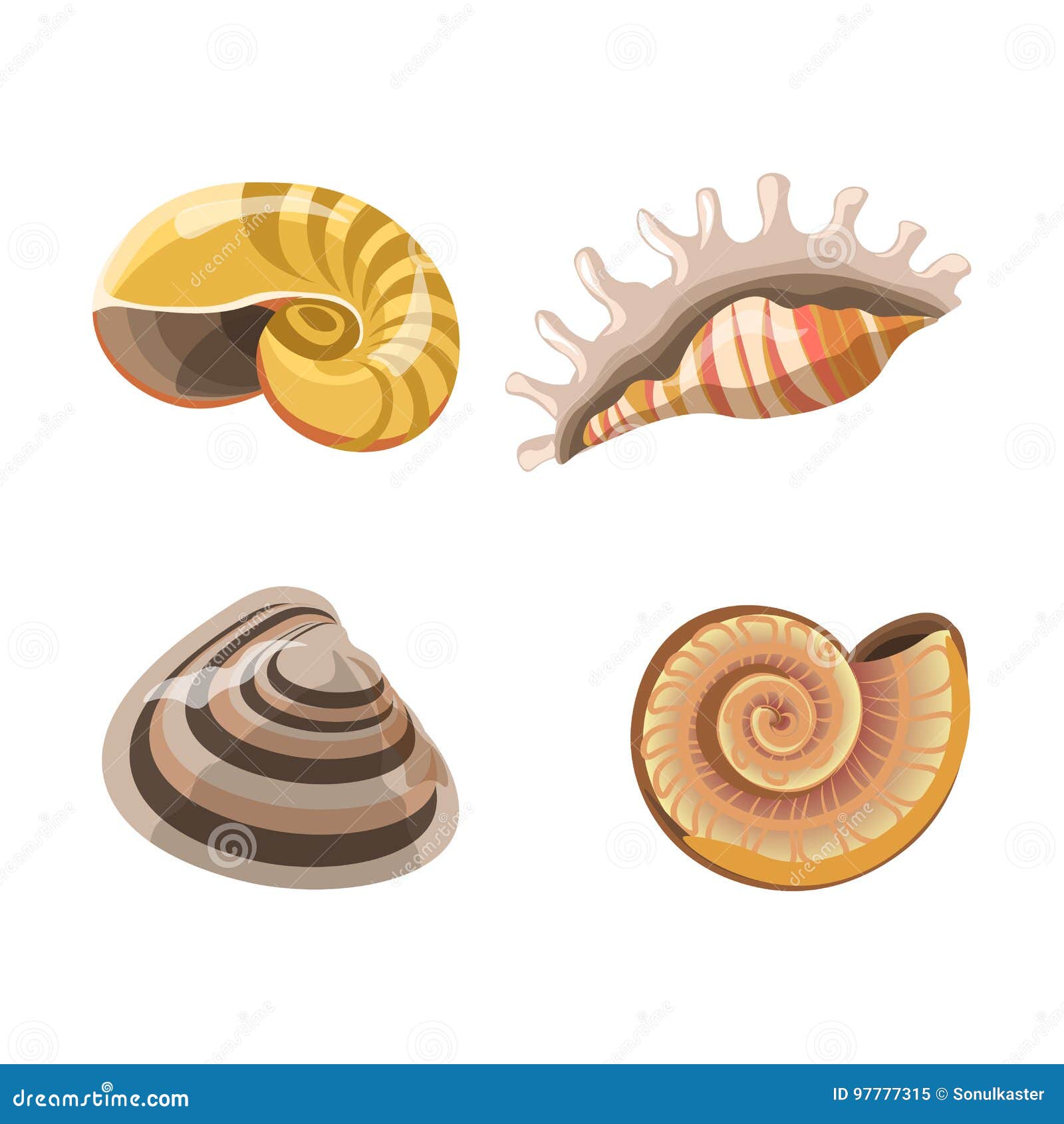 Shells or Seashells Vector Isolated Icons Stock Vector - Illustration ...