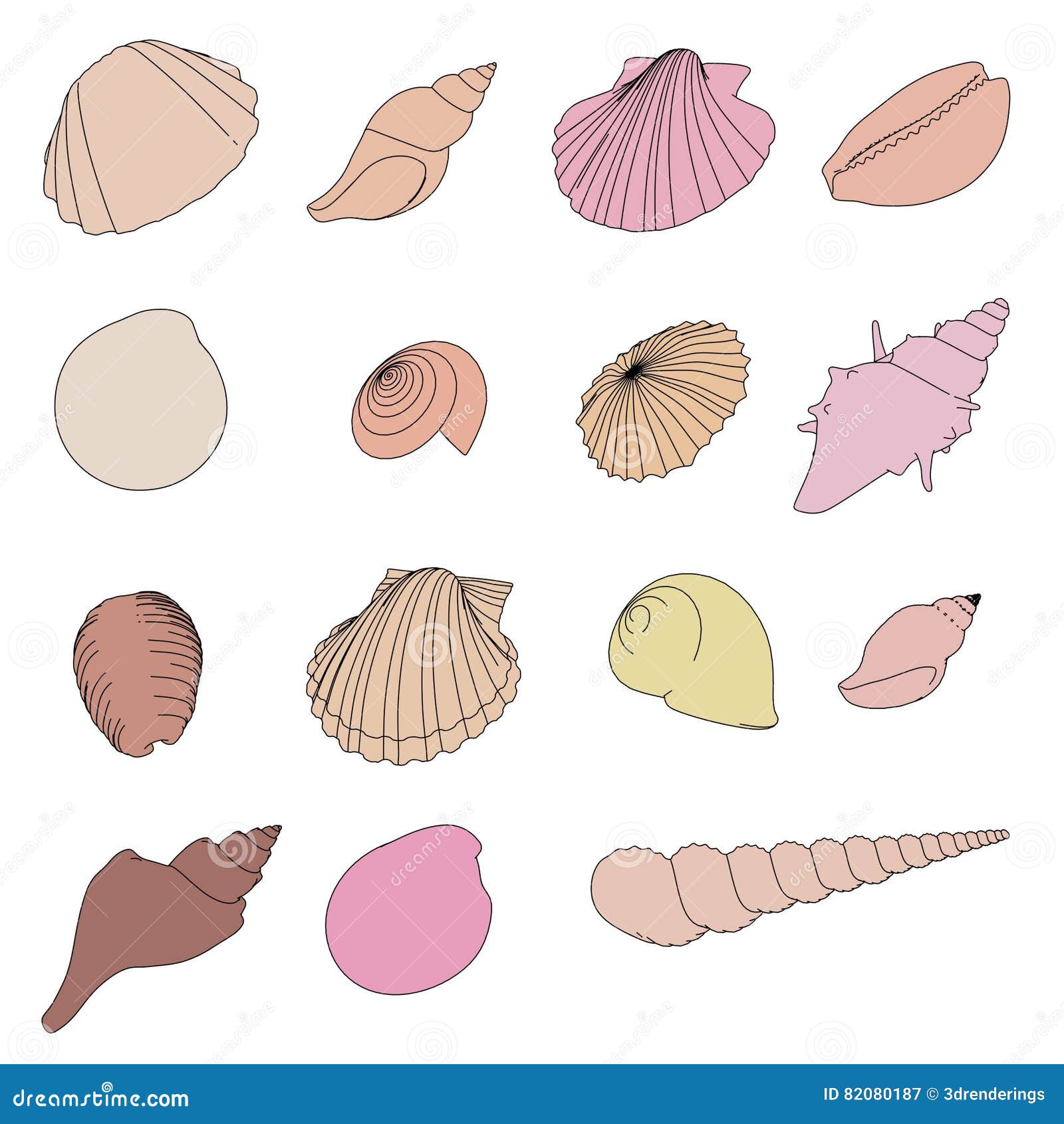 Shells set stock illustration. Illustration of cockle - 82080187