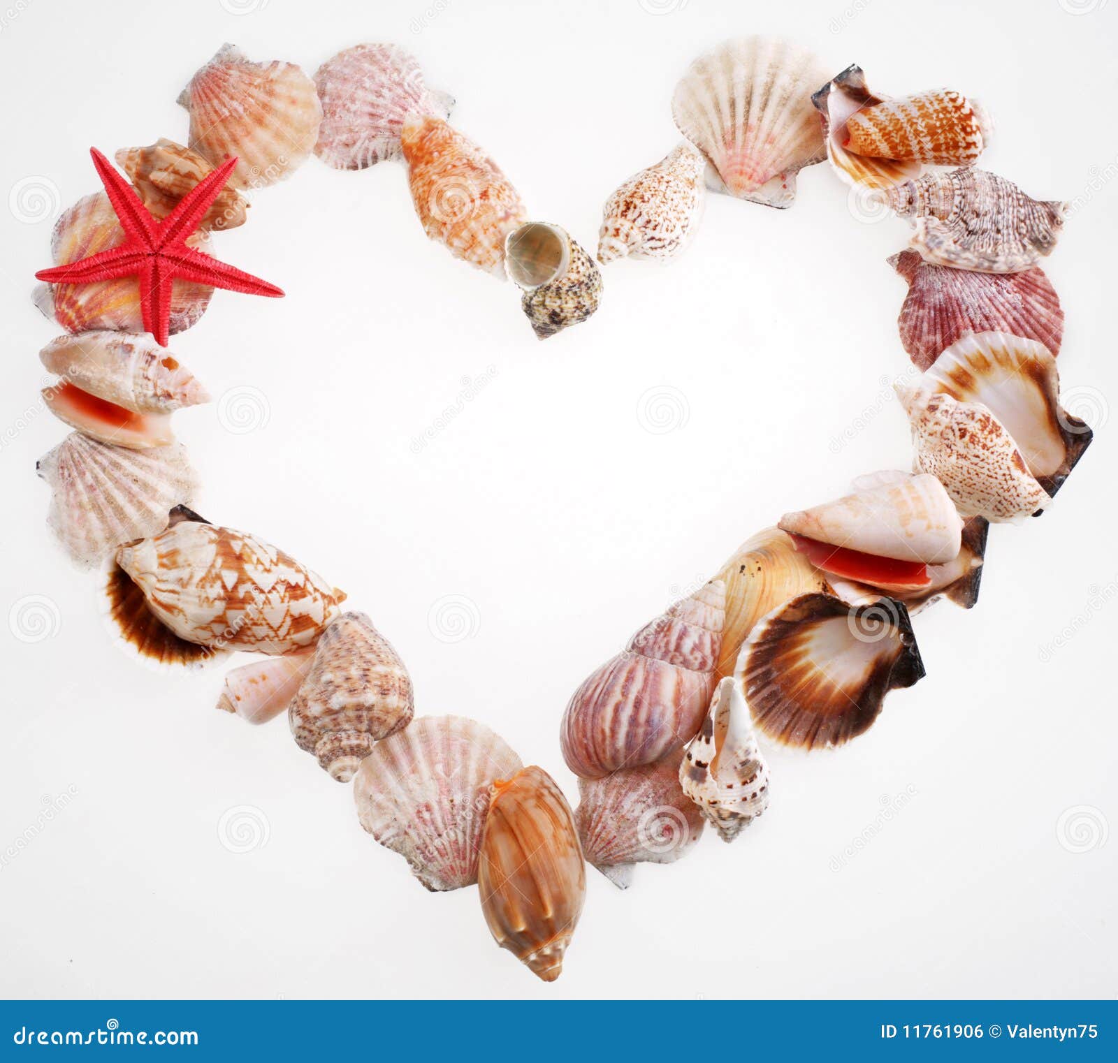 Shells in a Shape of Valentine S Heart Stock Photo - Image of concepts ...