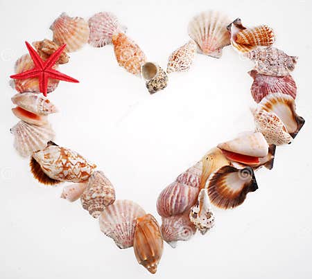 Shells in a Shape of Valentine S Heart Stock Photo - Image of concepts ...