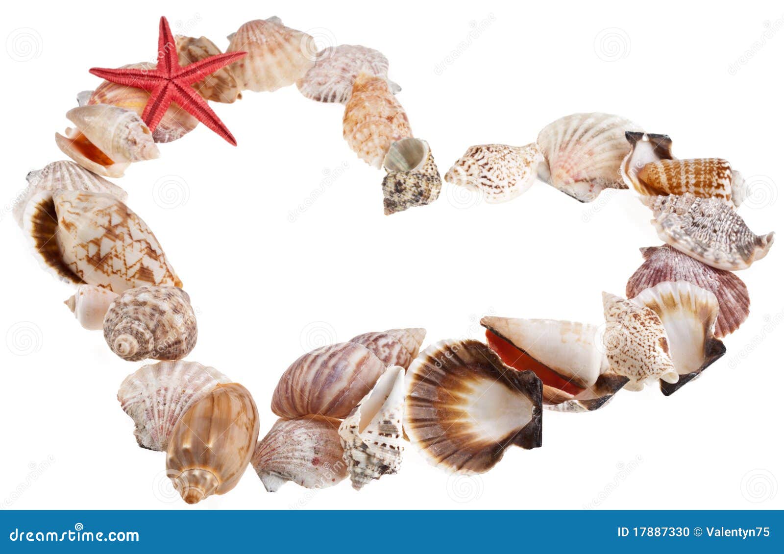 Shells in a Shape of Valentine S Heart Stock Photo - Image of romantic ...
