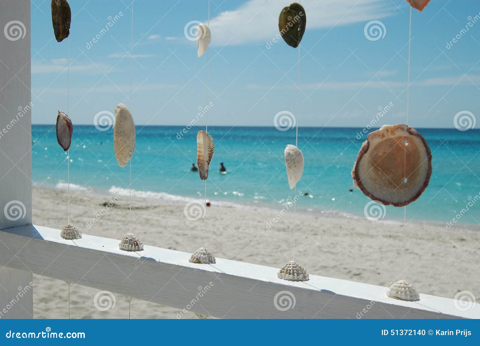 Shells stock photo. Image of ocean, shell, strand, vakantie - 51372140