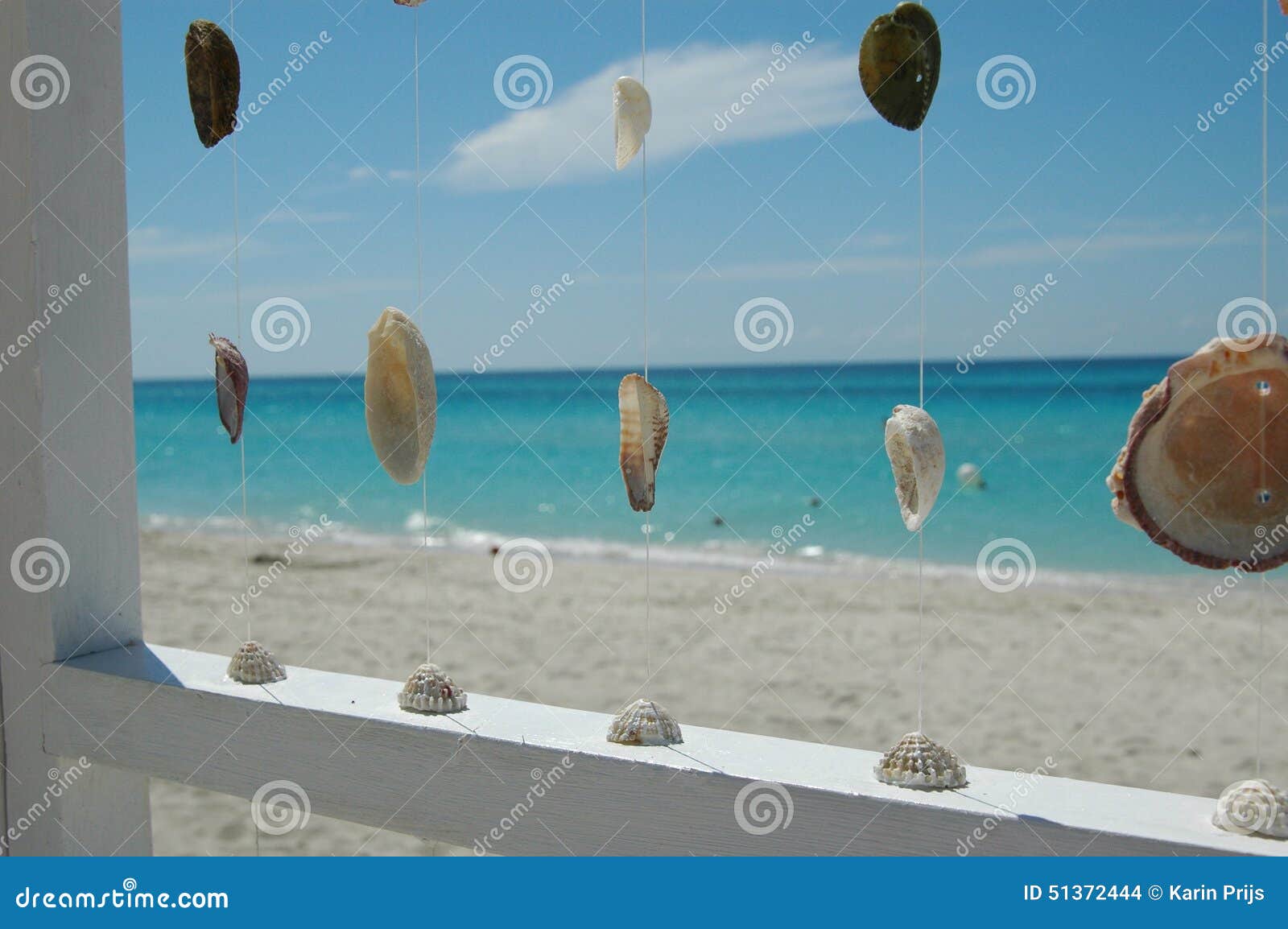 Shells stock photo. Image of schelpen, holiday, curtain - 51372444