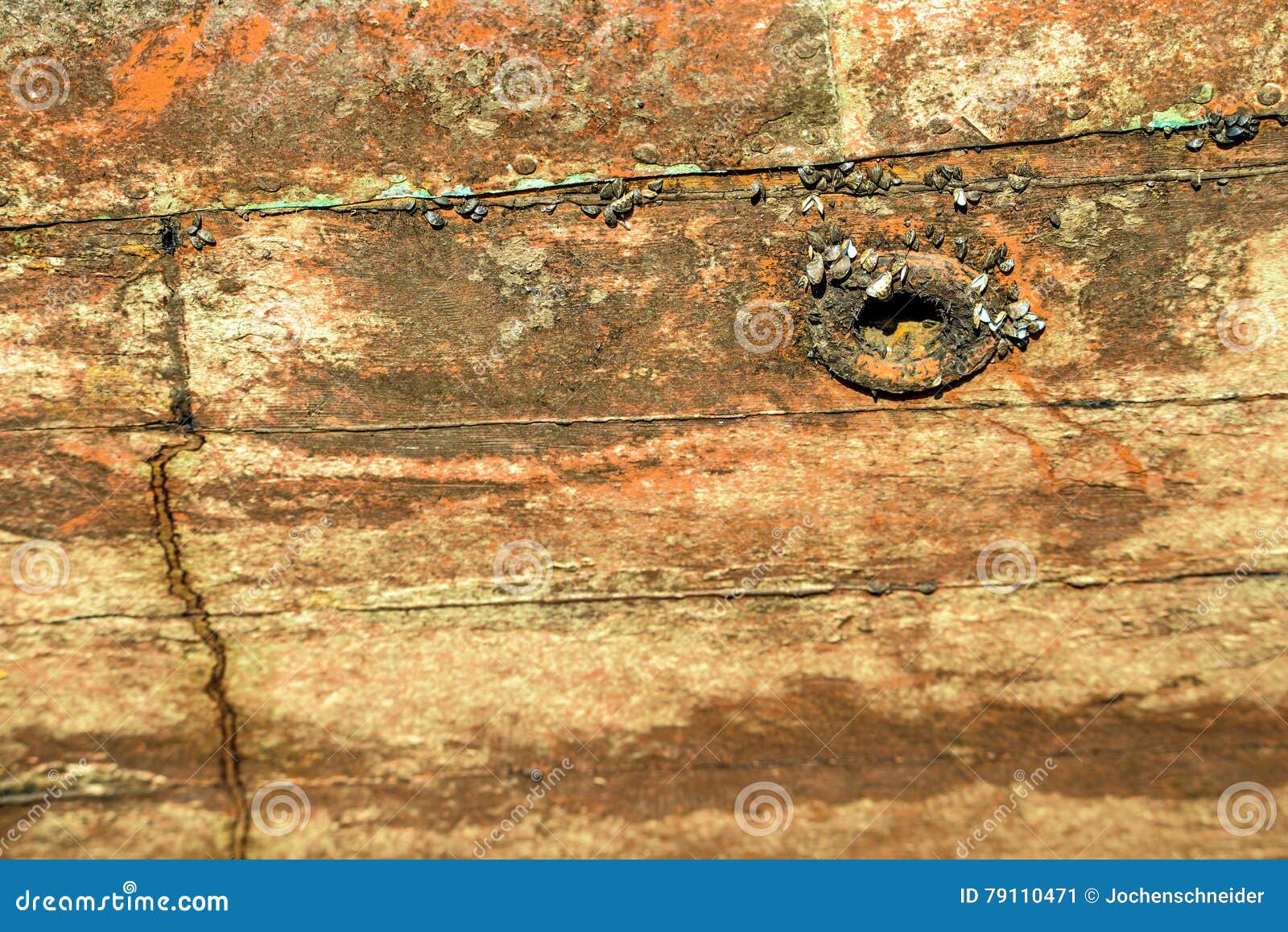 Shells on the ship wall stock image. Image of shipping - 79110471