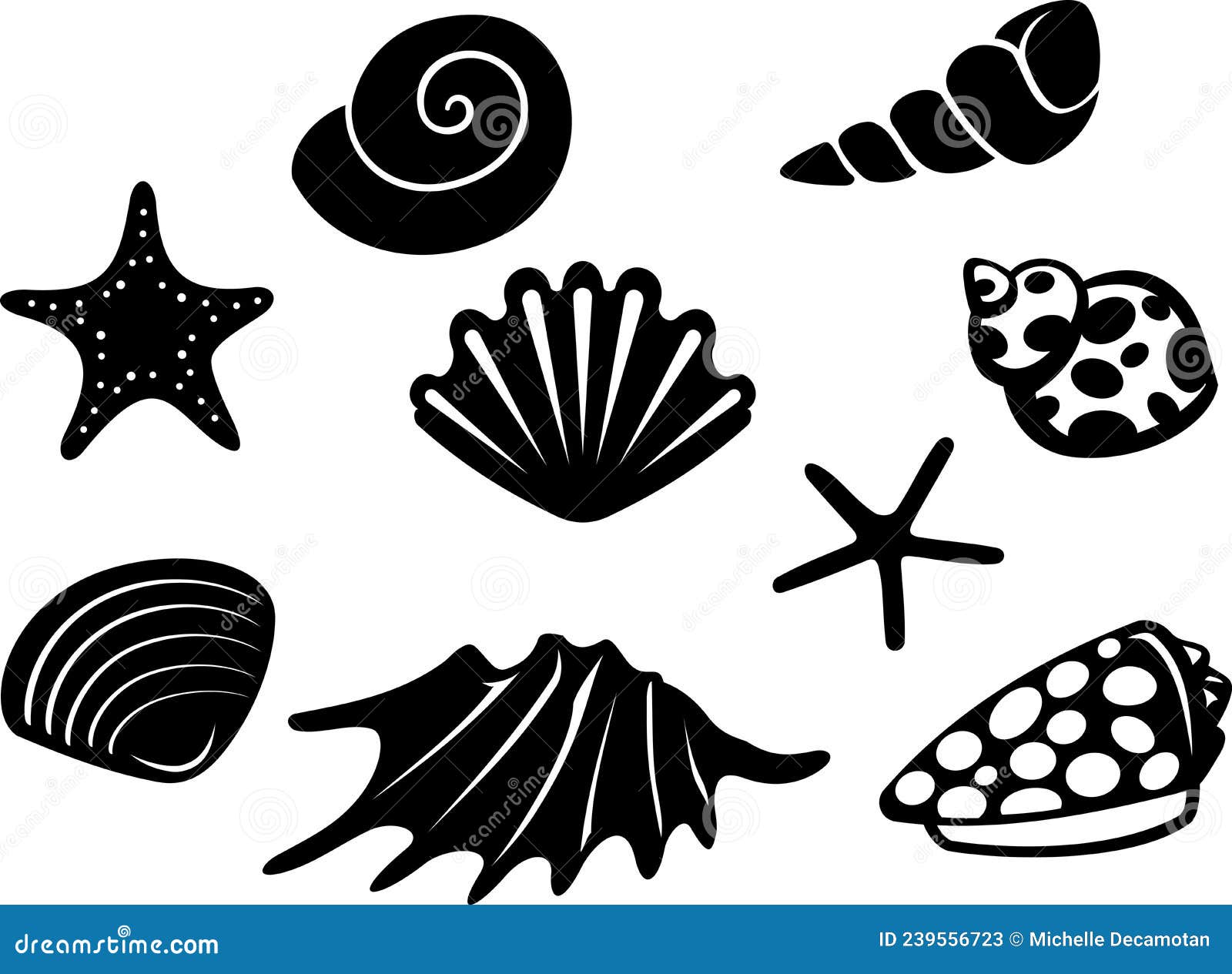 Shells Silhouette Set stock vector. Illustration of marine - 239556723