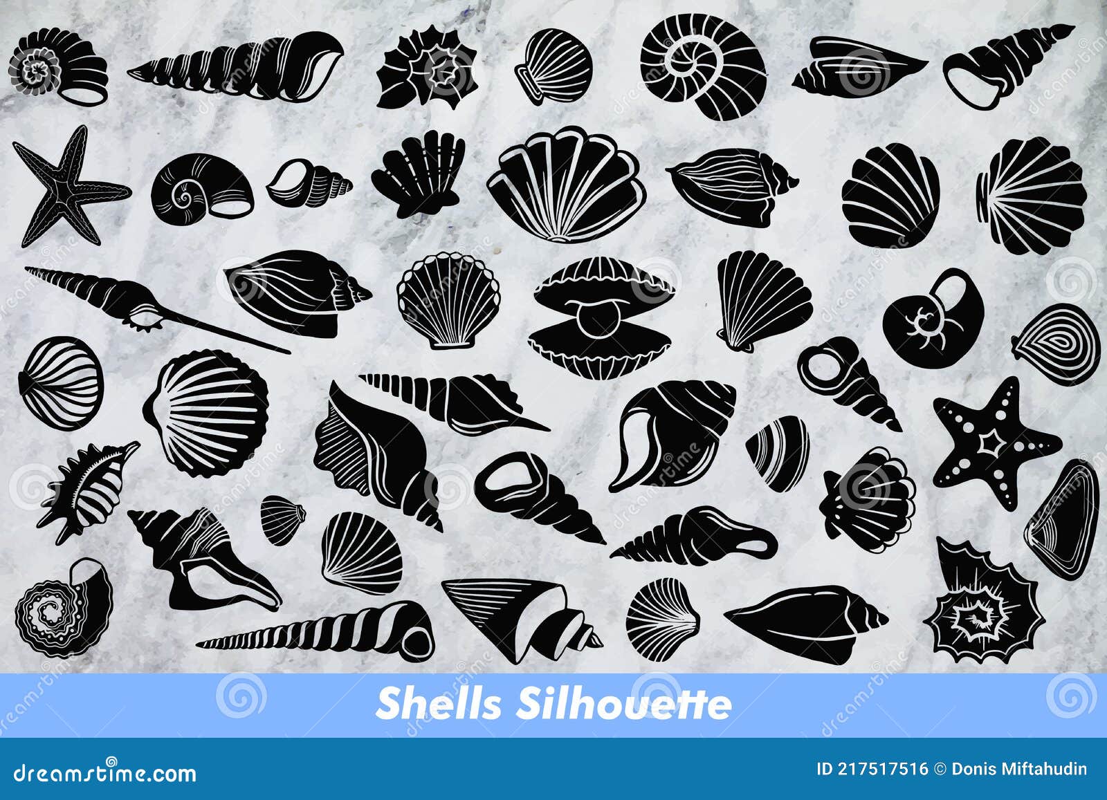 Shells Silhouette stock vector. Illustration of vector - 217517516