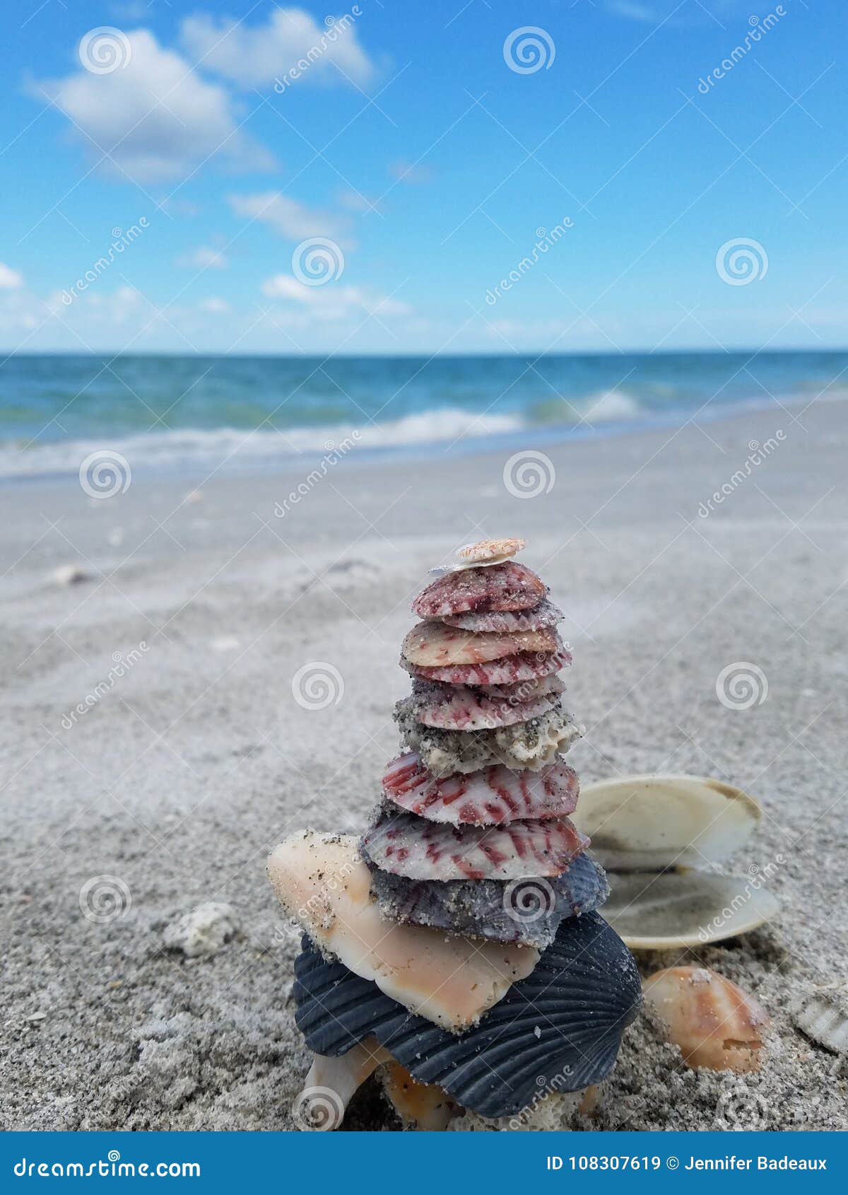 Shells Stacked Near the Water on the Beach Stock Image - Image of sandy ...