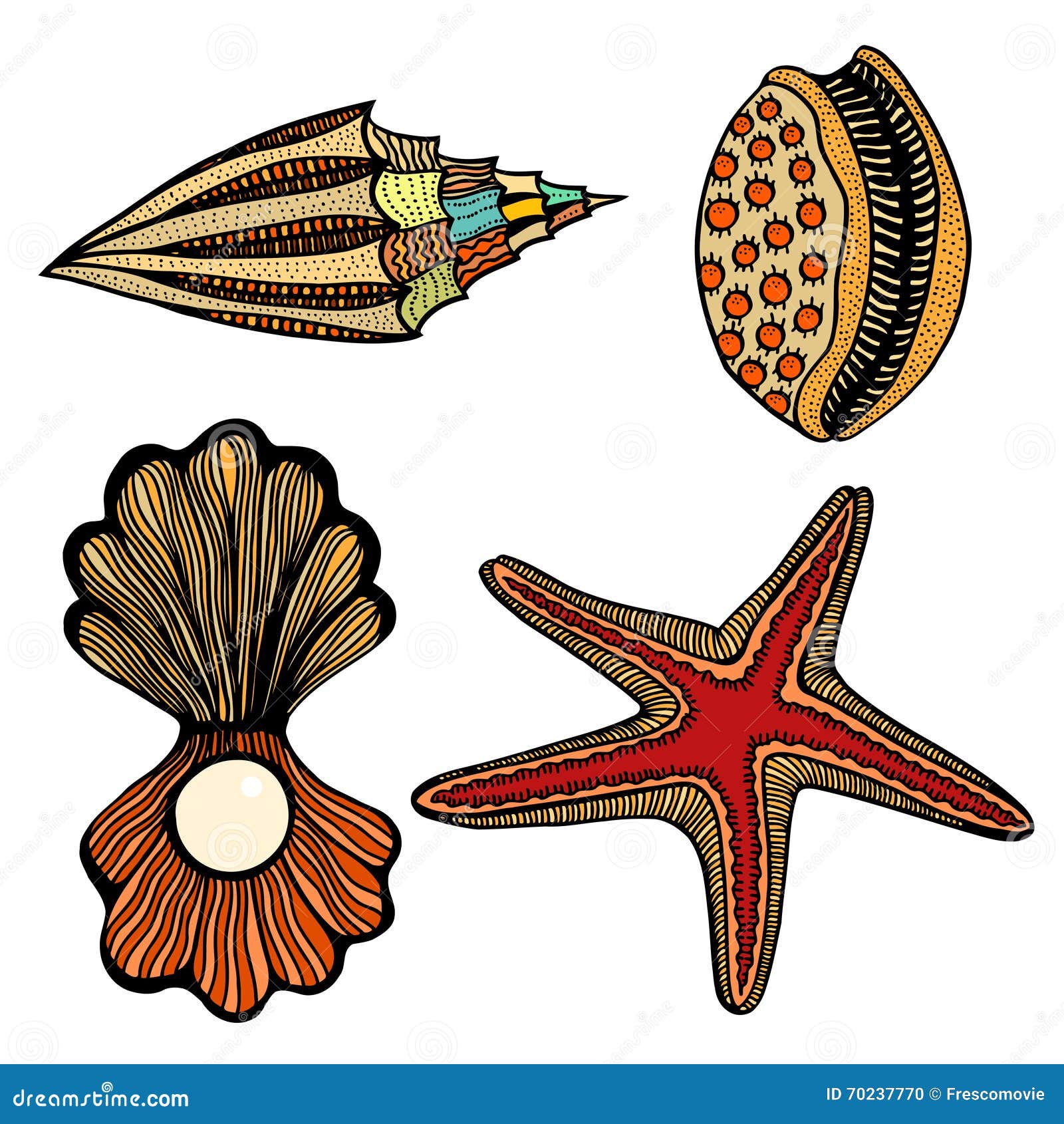 Shells and star stock vector. Illustration of decoration - 70237770