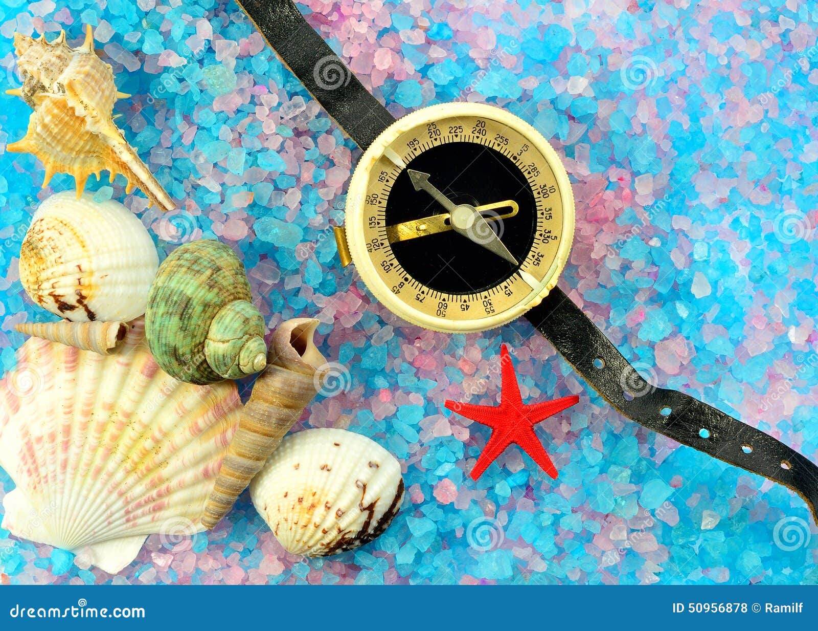 Shells, Star and Tourist Compass on Sea Salt Stock Photo - Image of ...