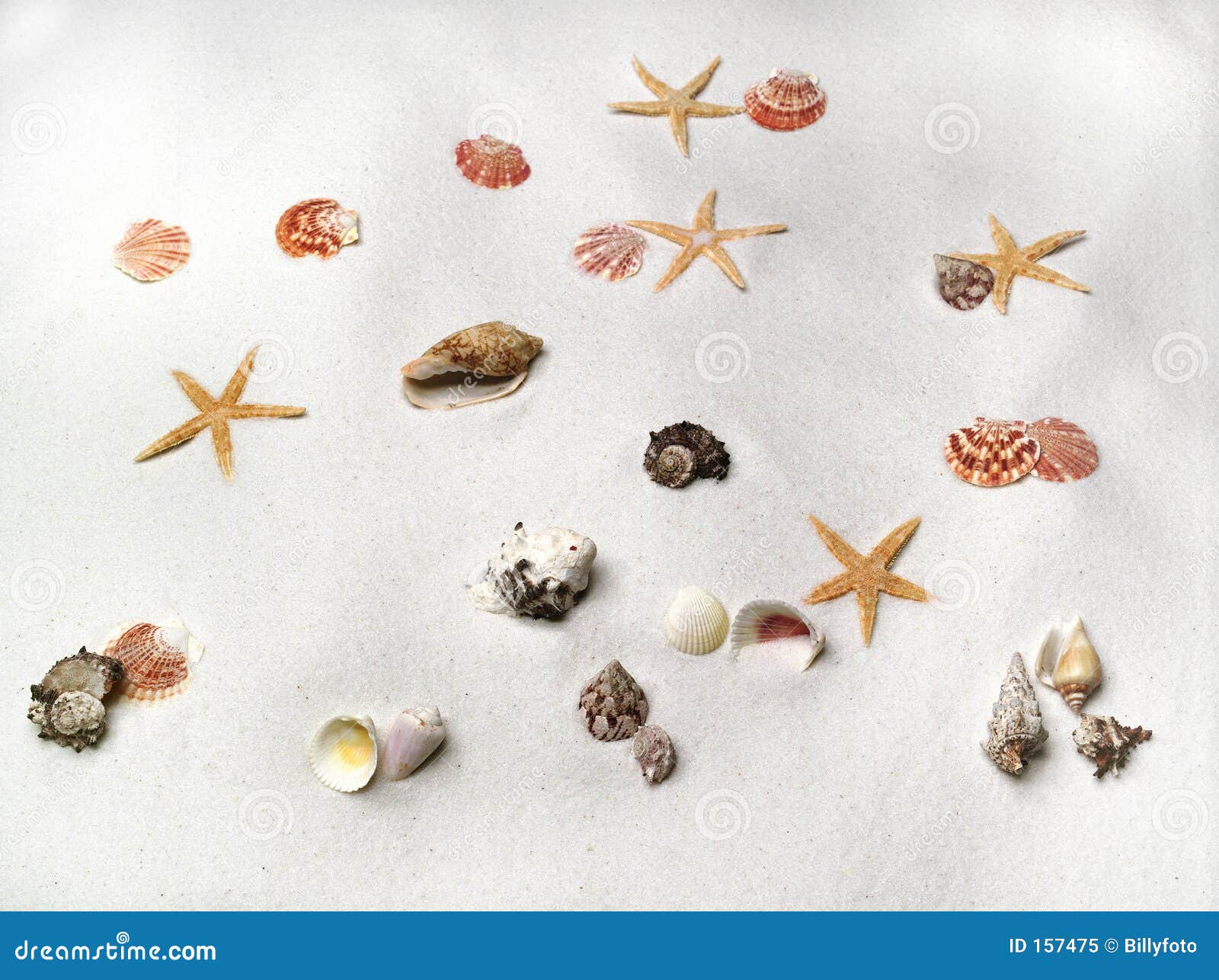 Shells and stars stock image. Image of shore, sand, holiday - 157475