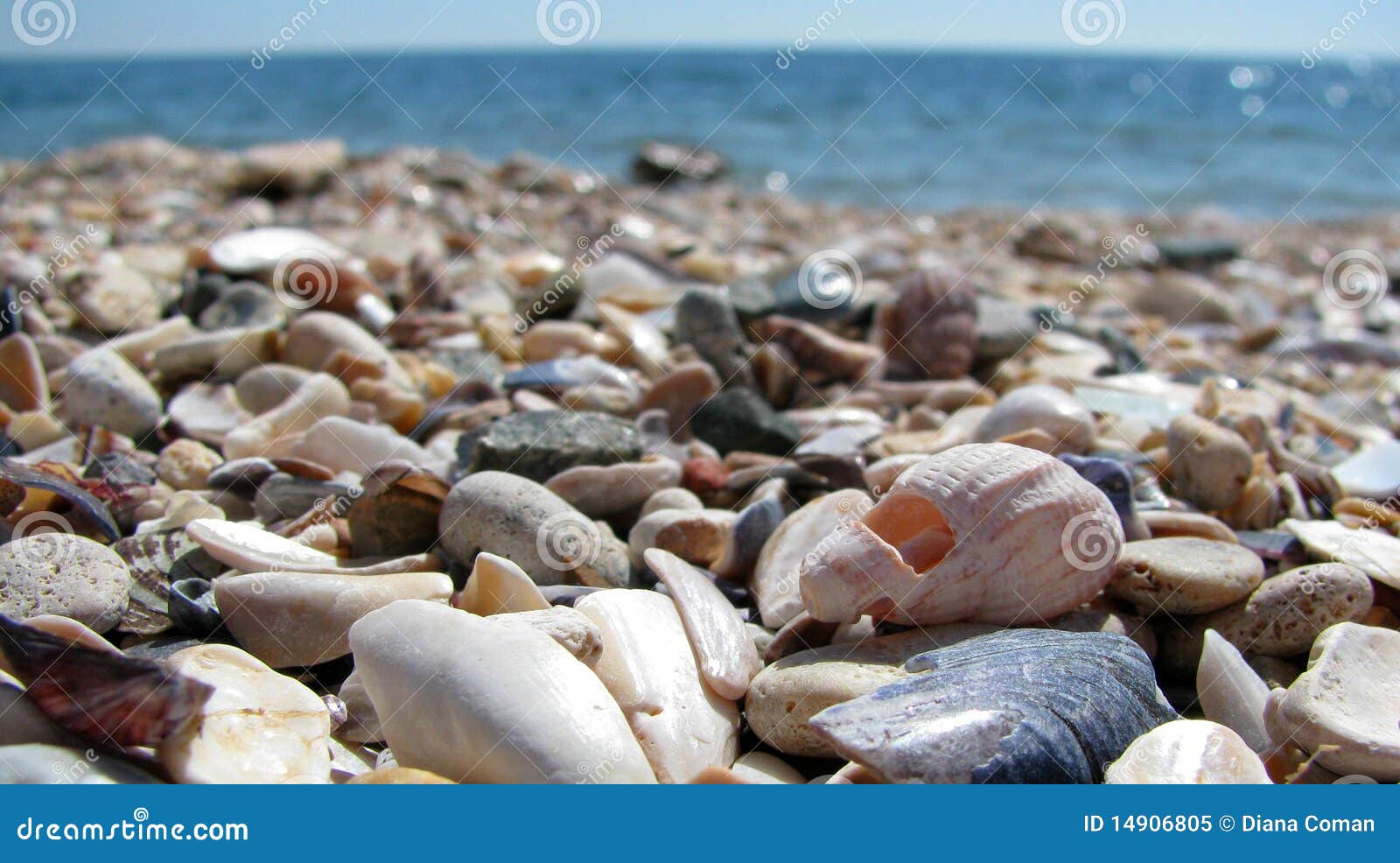 Shells and stones stock image. Image of relax, vacation - 14906805