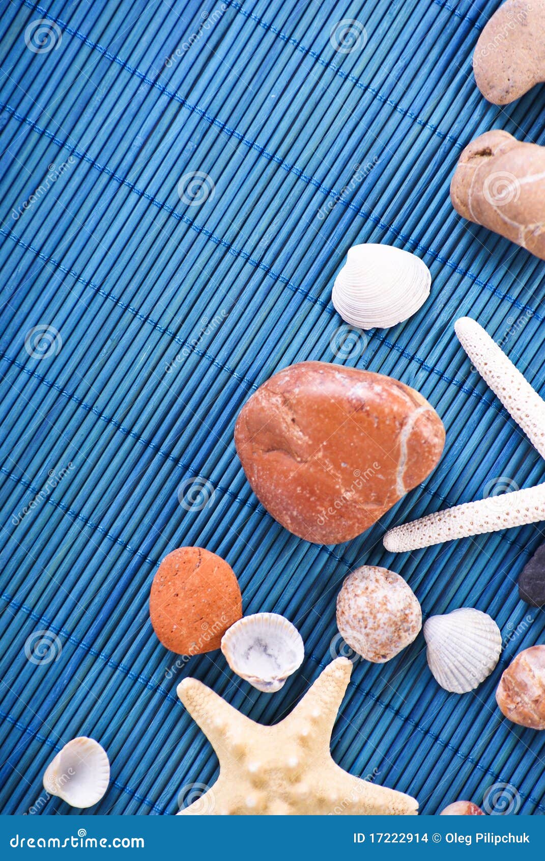 Shells and stones stock photo. Image of backgrounds, ocean - 17222914