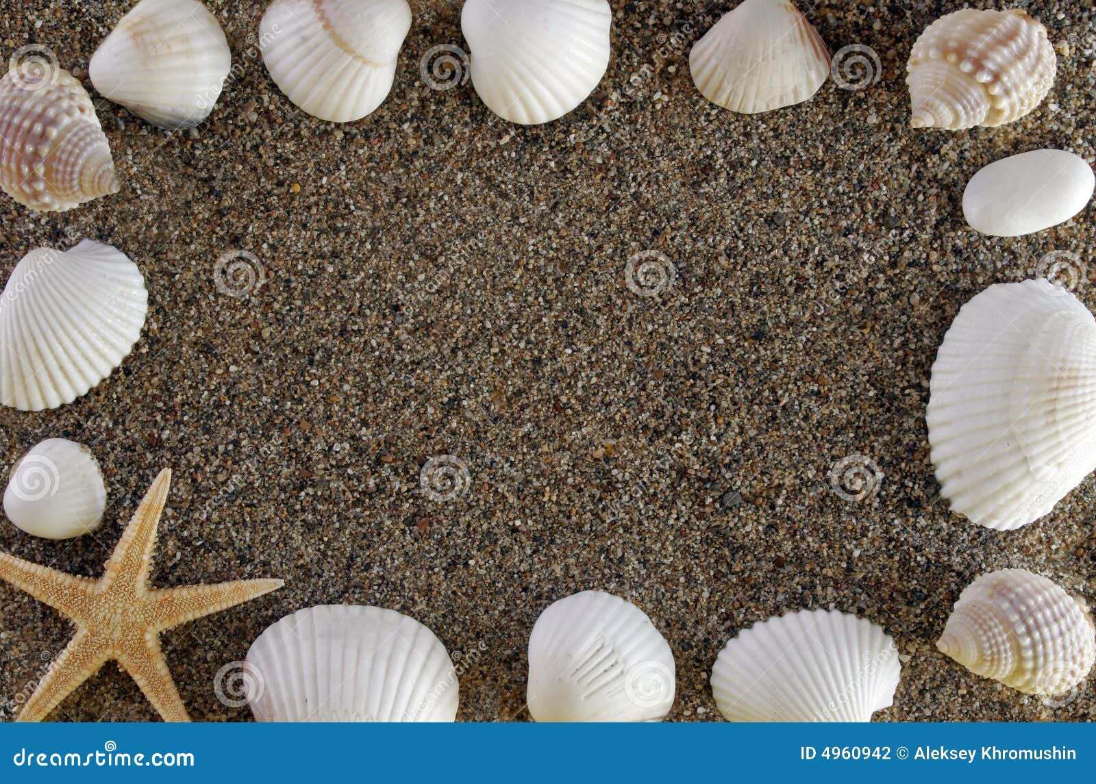 Shells and stones stock photo. Image of stone, invertebrate - 4960942