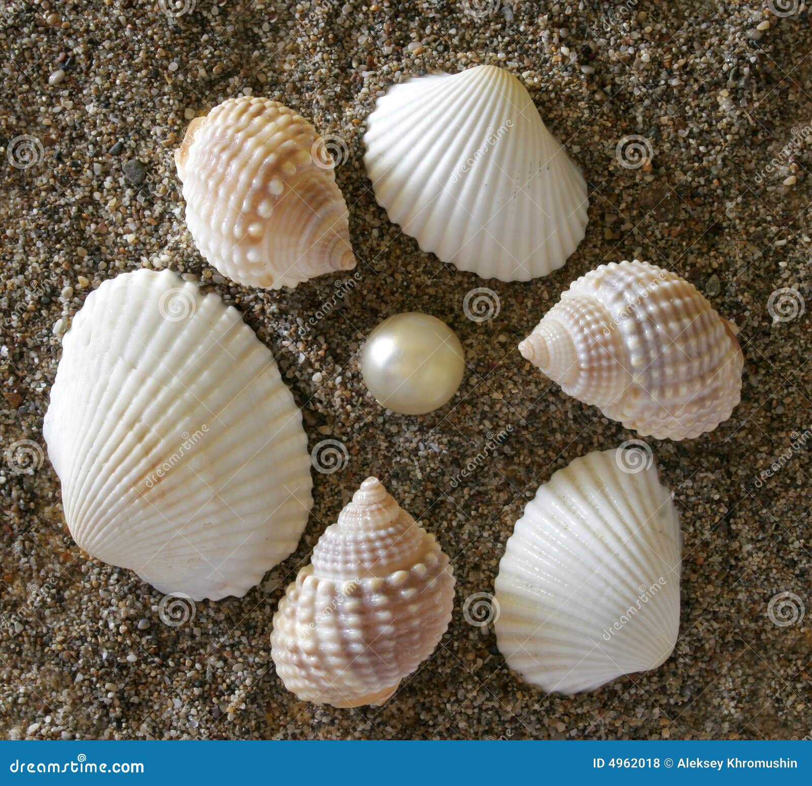 Shells And Stones Stock Photo | CartoonDealer.com #71714784