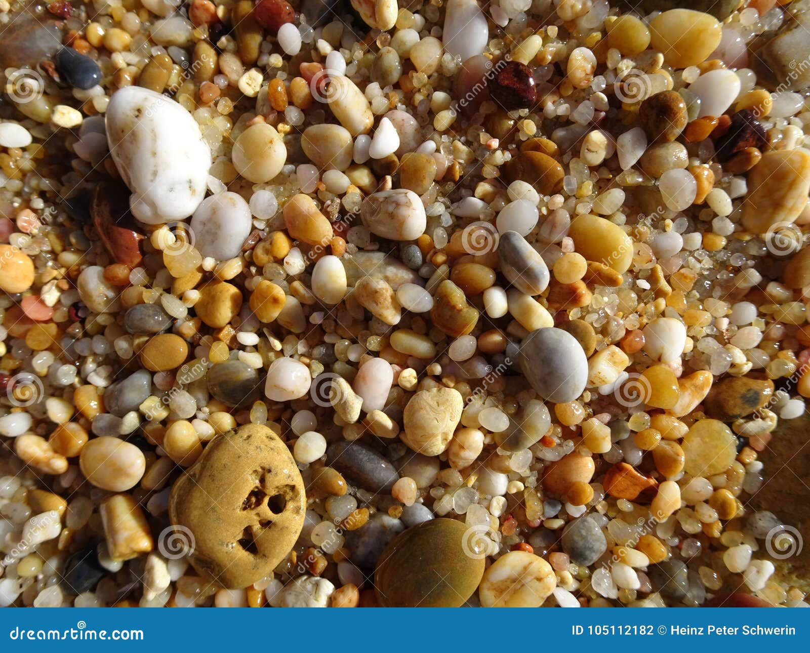Shells and Stones on the Beach Stock Photo - Image of vacation ...