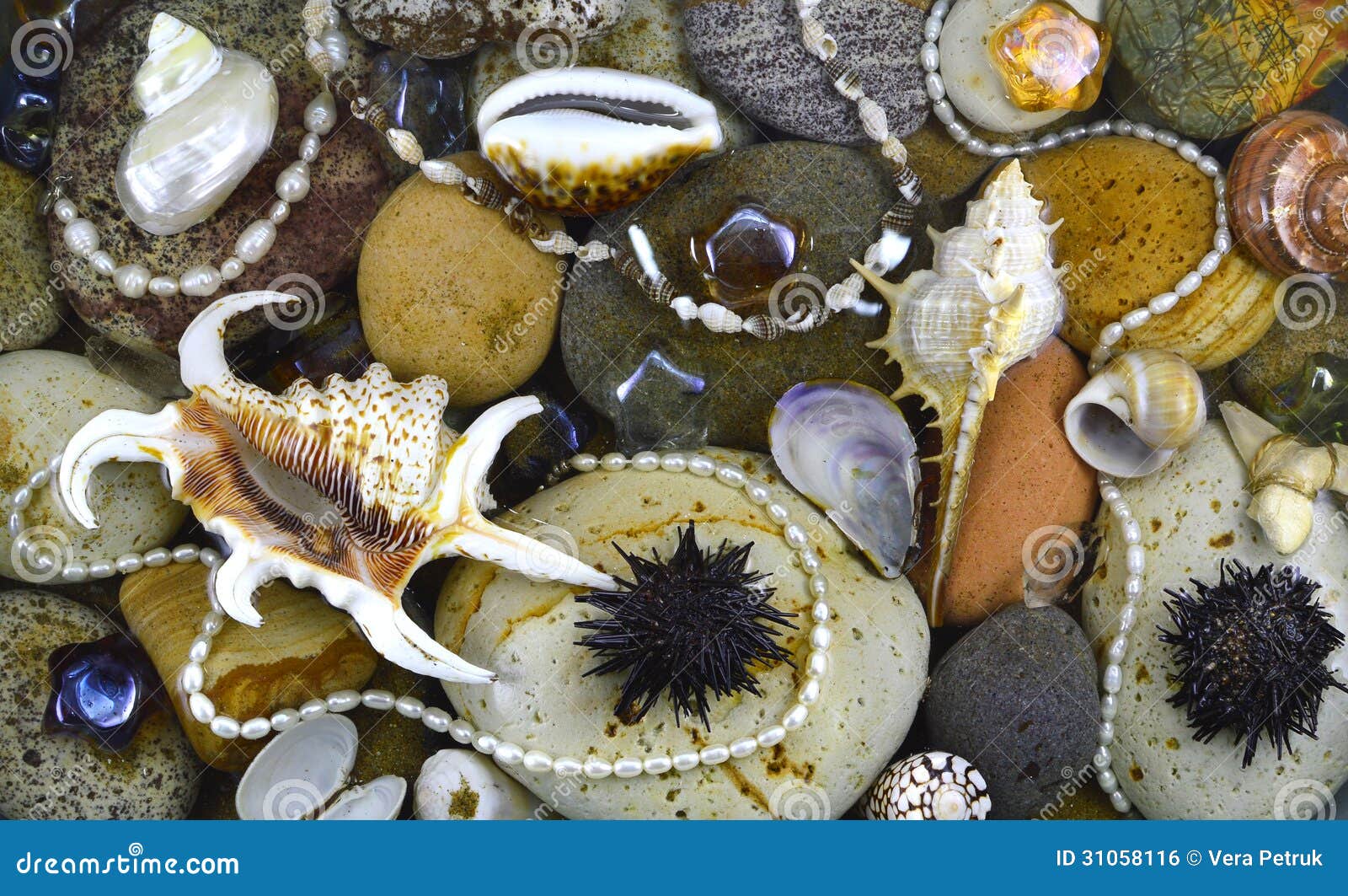 Shells and Stones Under Water Stock Photo - Image of romantic, pearl ...