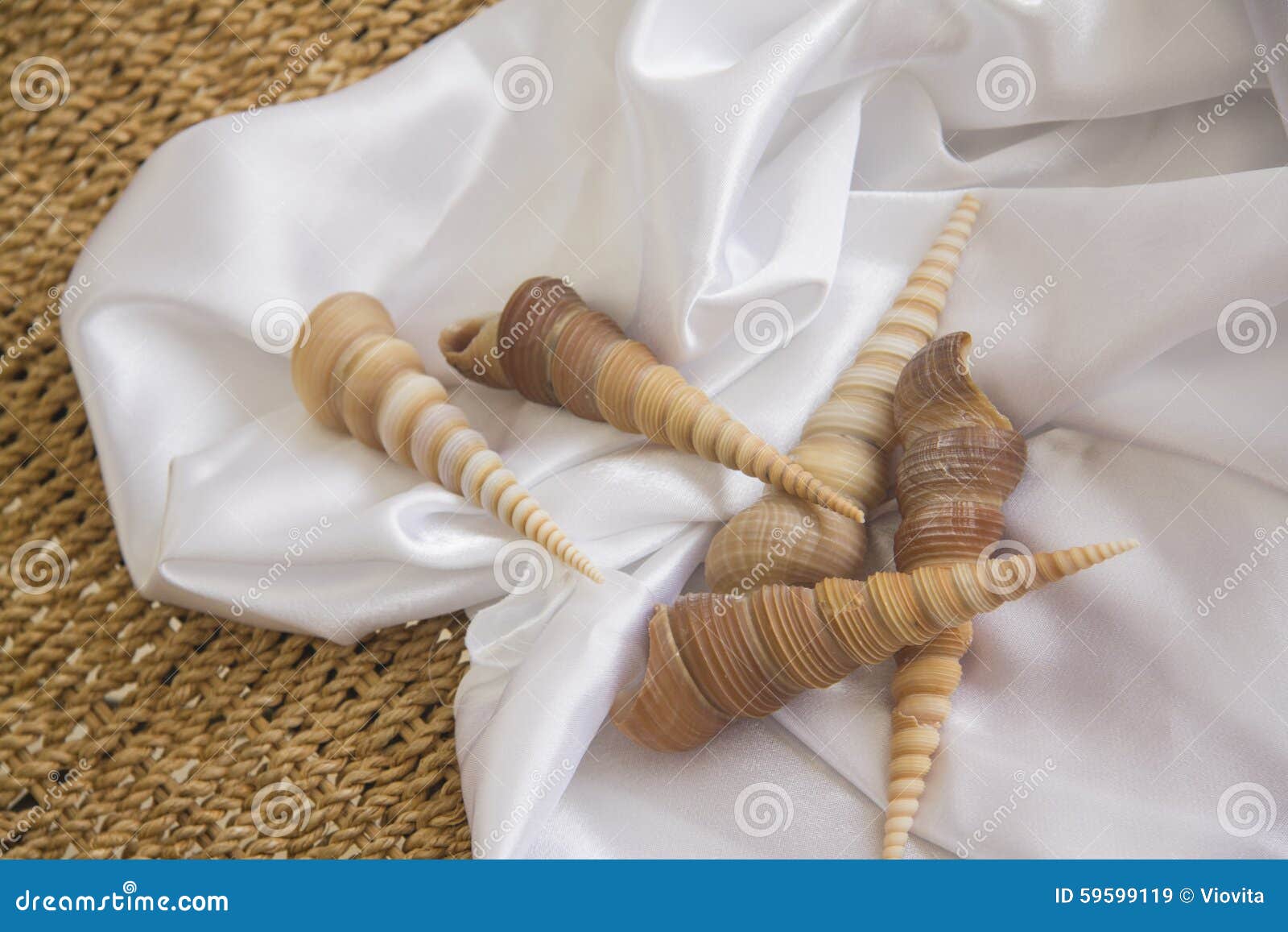 Shells on straw background stock image. Image of decoration - 59599119