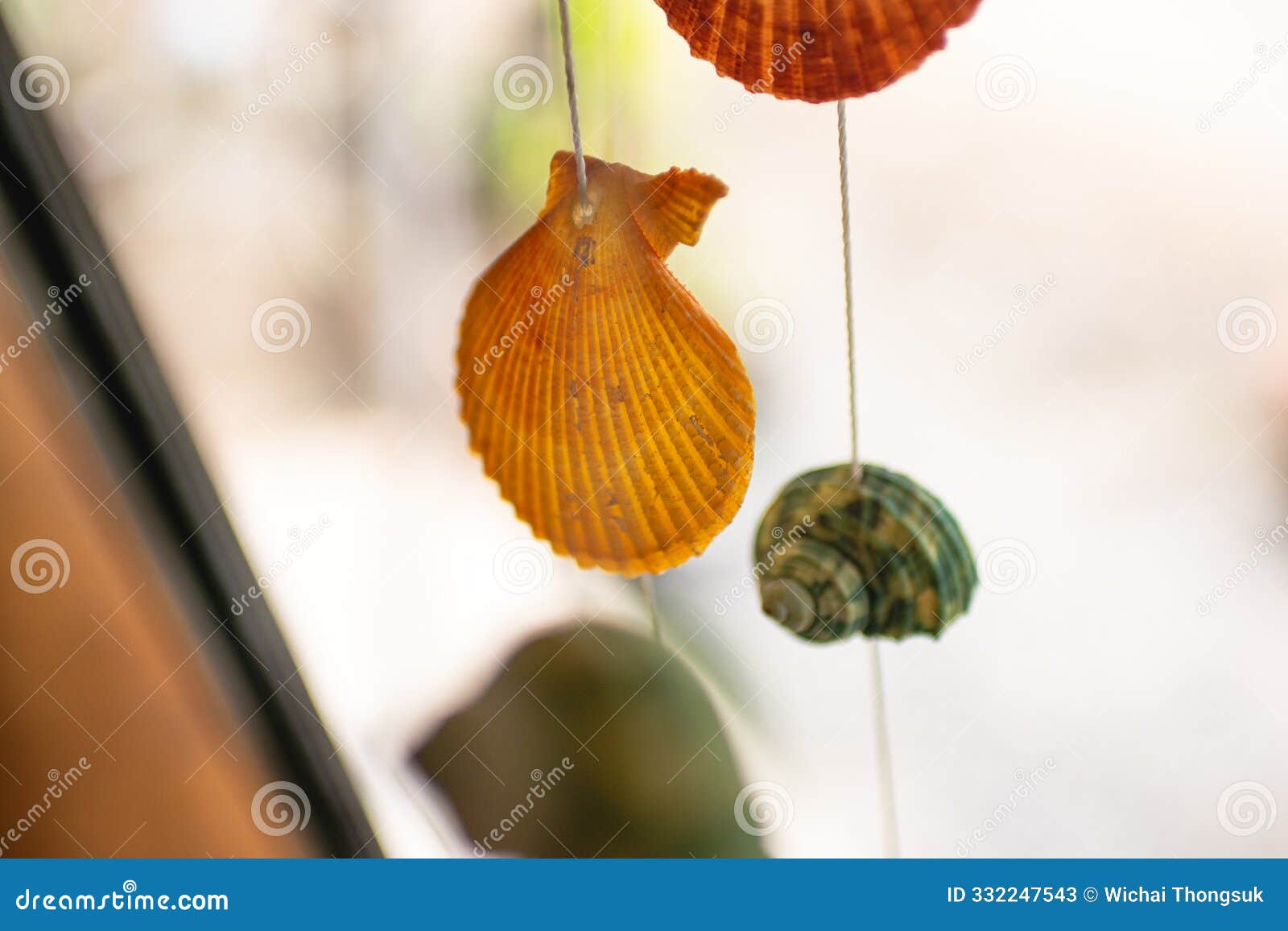 Shells Strung with a Hanging Rope Stock Image - Image of brown, home ...