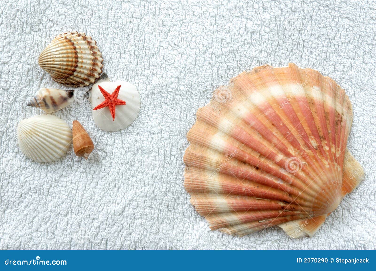 Folded Towel Seashell Stock Photos - Free & Royalty-Free Stock Photos ...