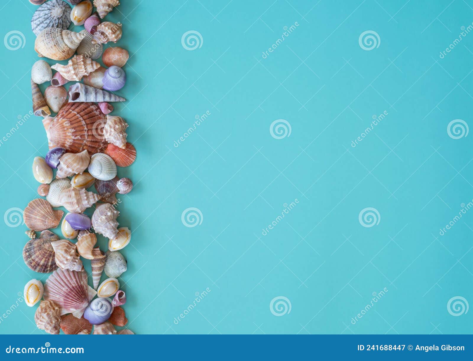 Shells on Turquoise Background with Copy Space Stock Image - Image of ...