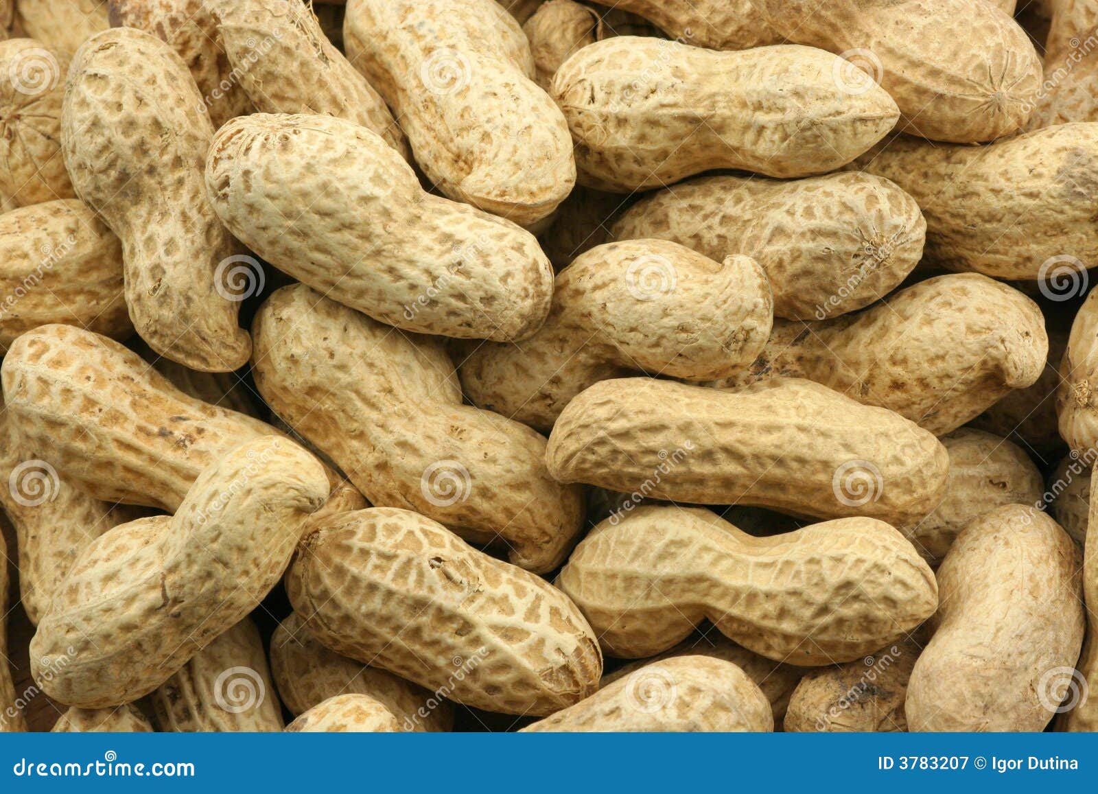 Shells van de pinda stock afbeelding. Image of noot, voedsel - 3783207