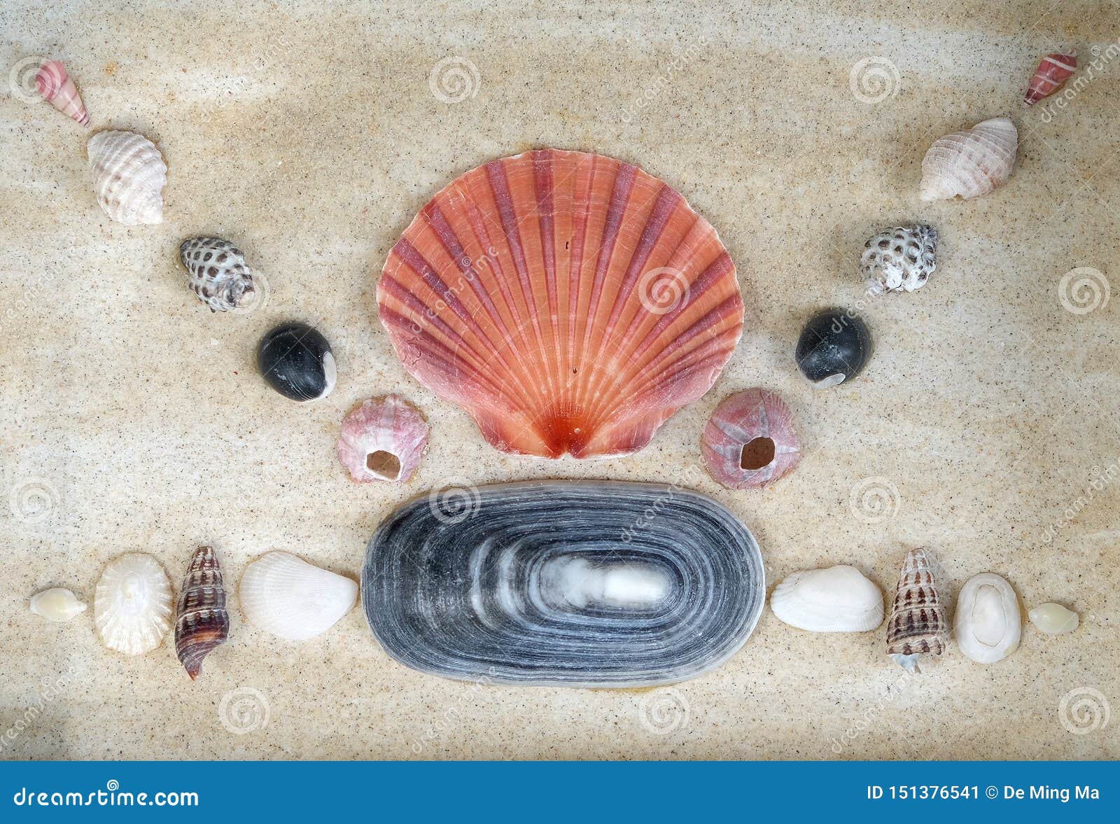 Shells of Various Shapes and Colors on the Beach are Eye-catching Stock ...