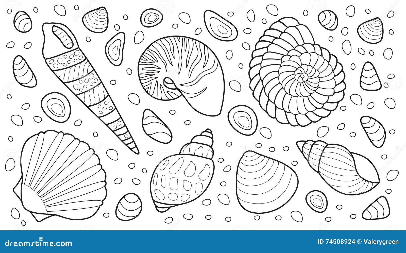 Shells, Vector Illustration for Adult Coloring Book Stock Vector ...